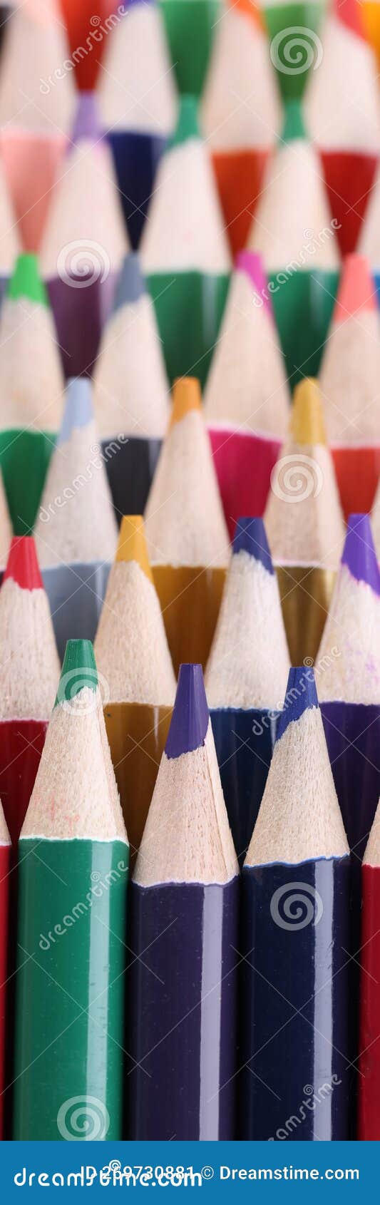 Closeup of Assortment of Colored Pencils. Quality Drawing Pencils Stock ...