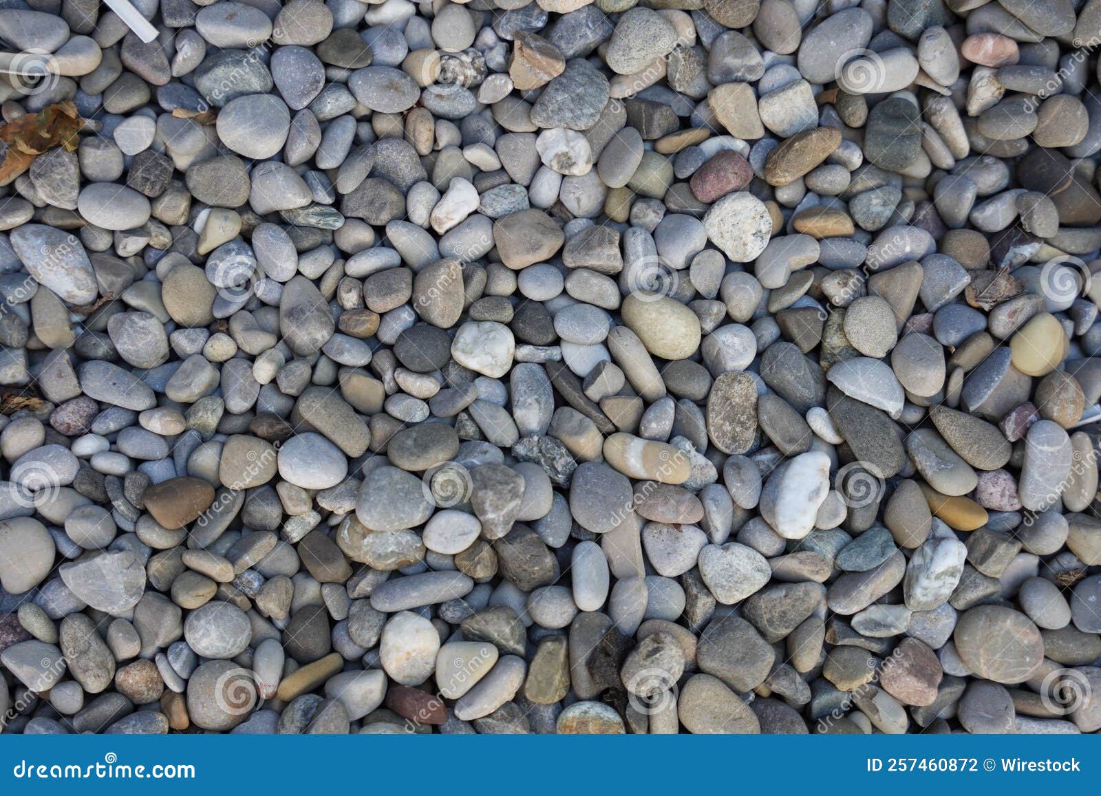 Closeup of an Assortment of Pebbles on the Ground for Background Stock ...