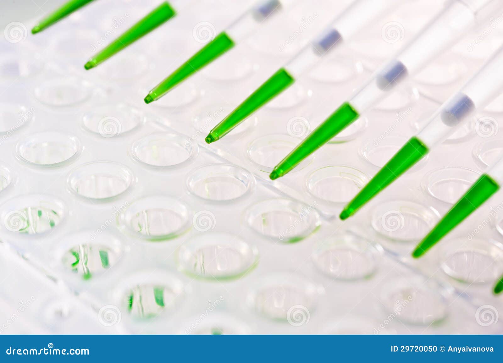 Loaded Multipipette Over a Plate for DNA Analysis Stock Photo - Image ...