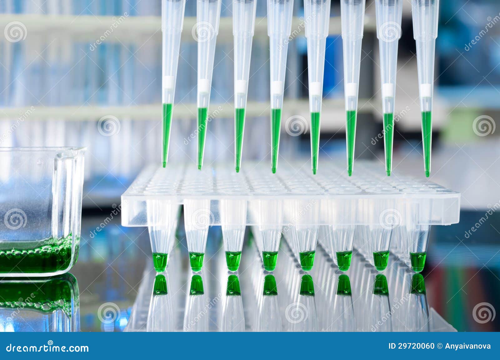 Loaded Multipipette Over a Plate for DNA Analysis Stock Photo - Image ...