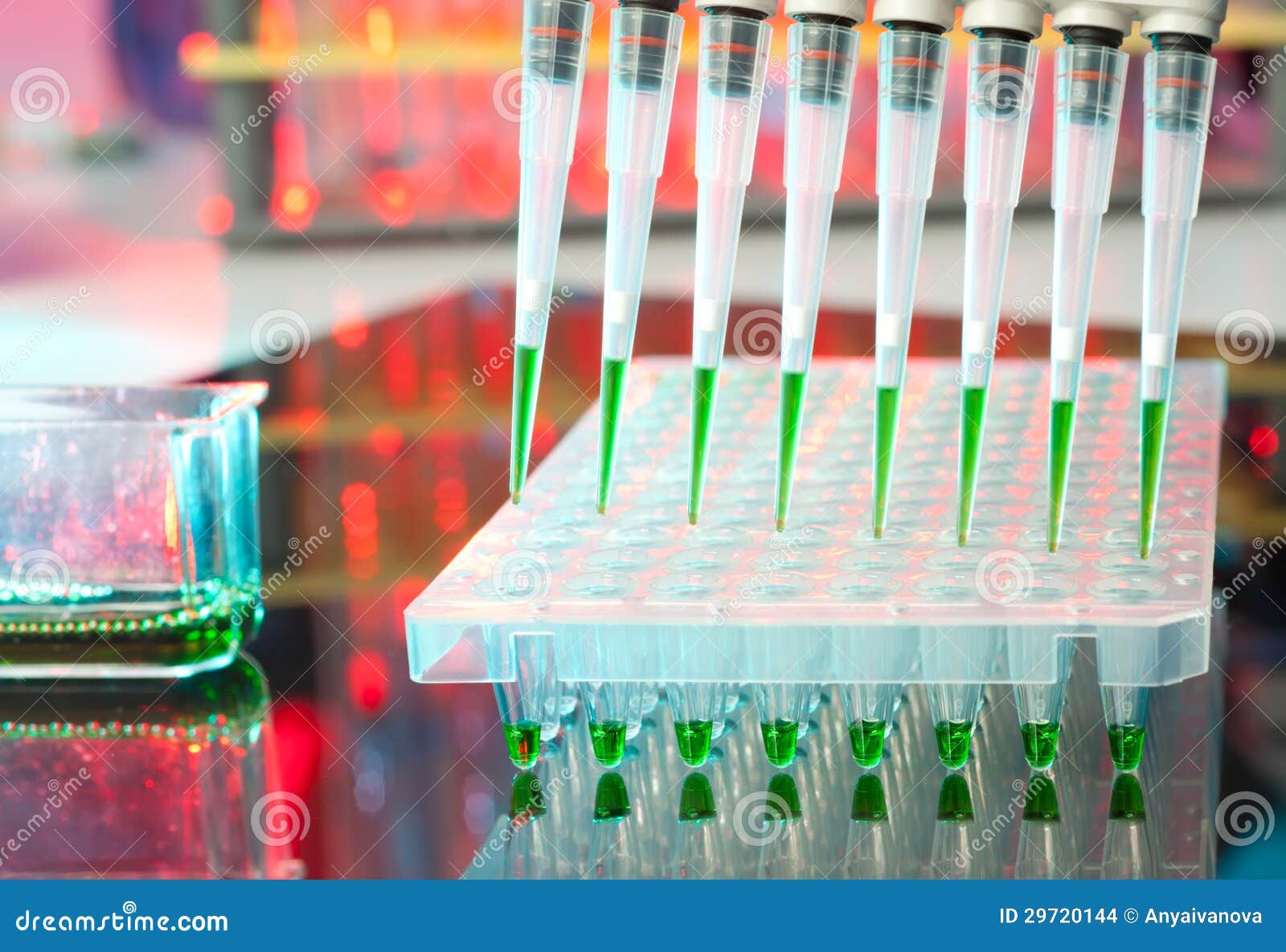 Loaded Multipipette Over a Plate for DNA Analysis Stock Photo - Image ...