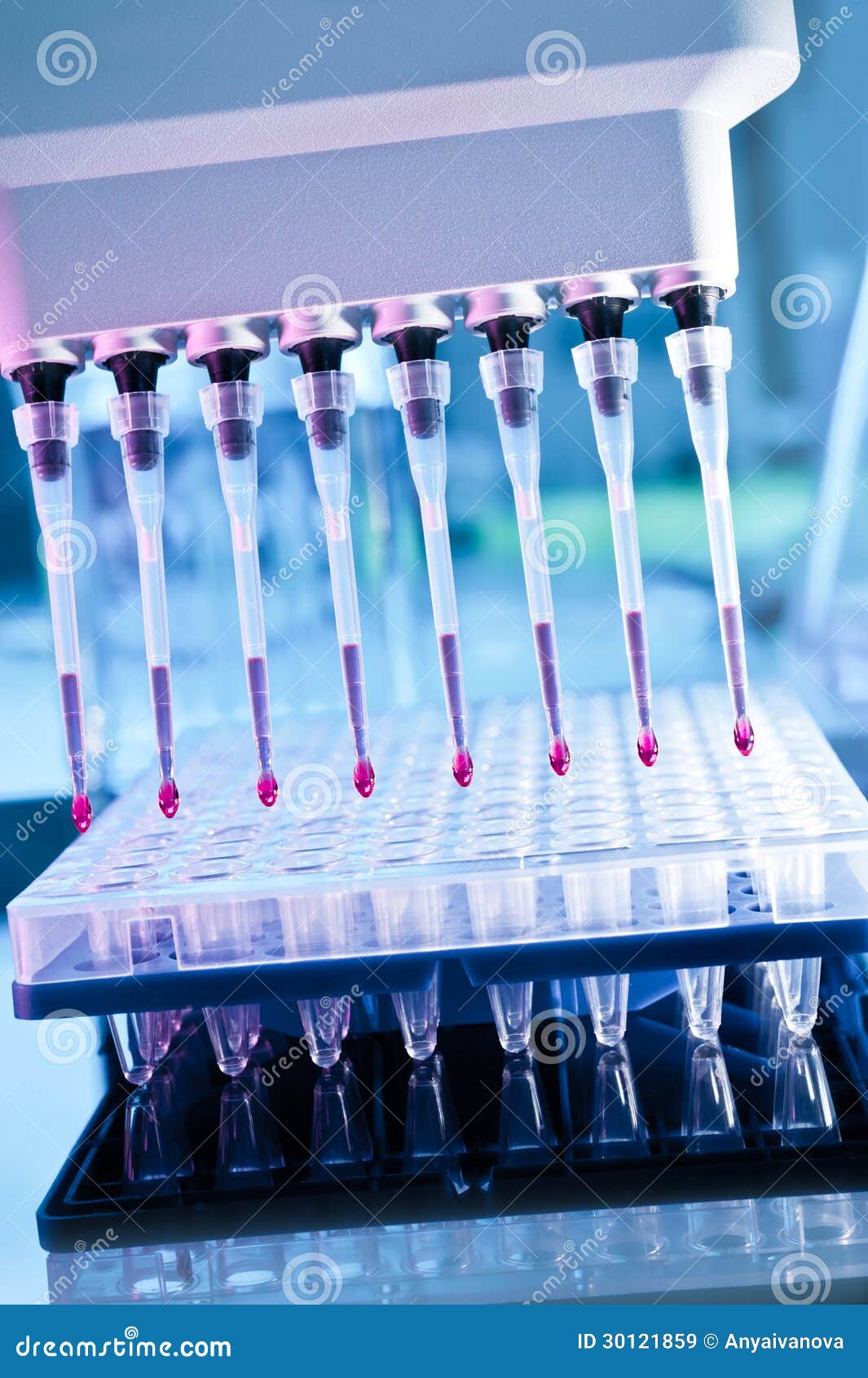 Loaded Multipipette Over a Plate for DNA Analysis Stock Image - Image ...