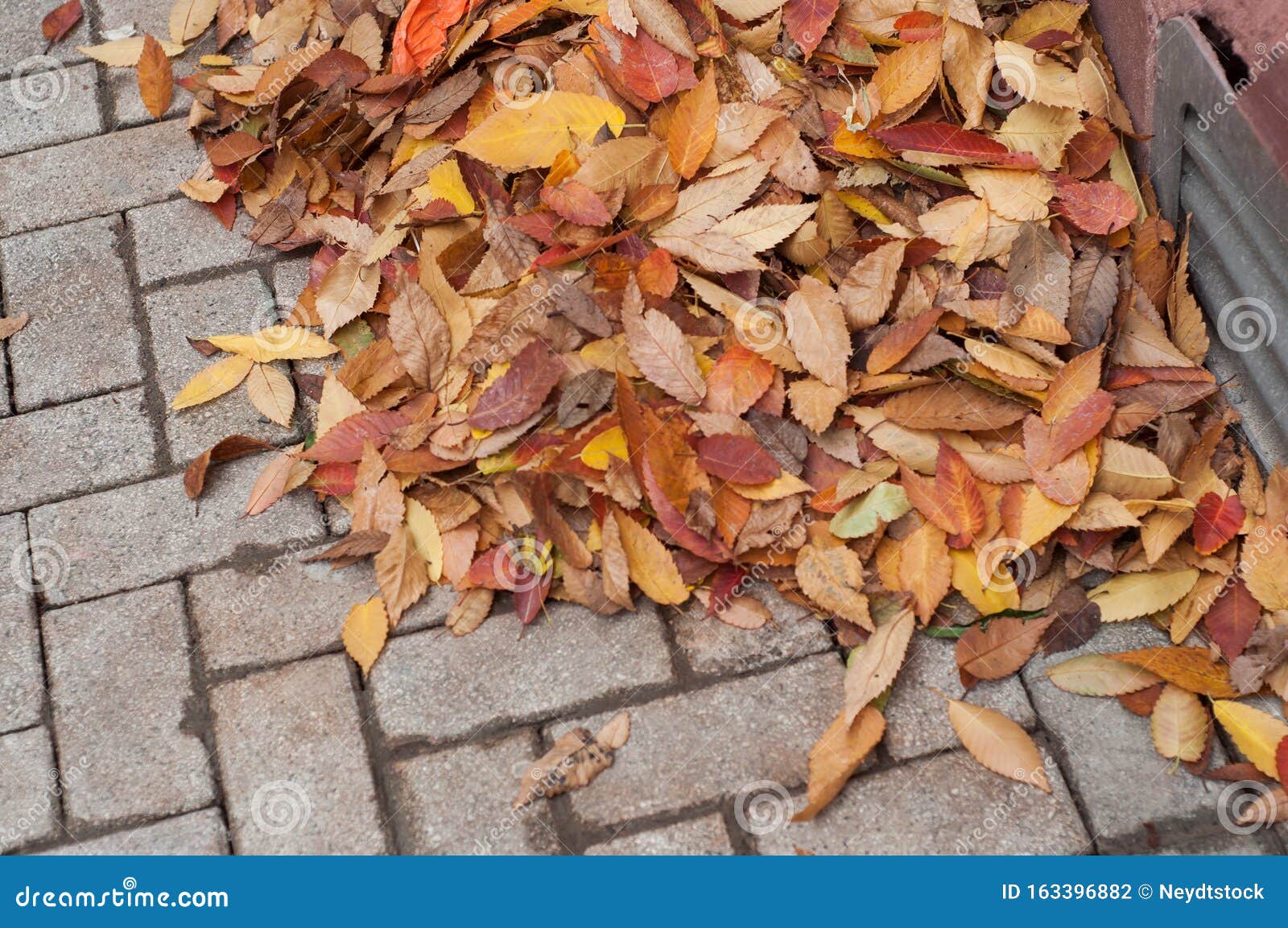 Autumnal Leaves Stack on Cobbles in the Street Stock Photo - Image of ...
