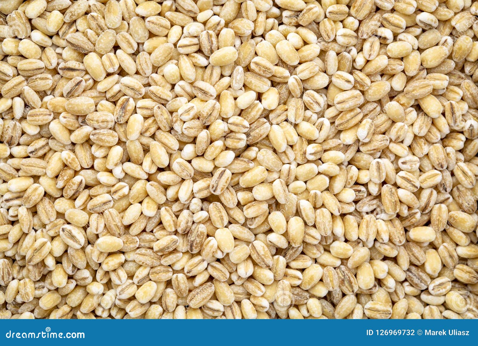 Pearl Barley Grain Background Stock Photo - Image of view, cereal ...