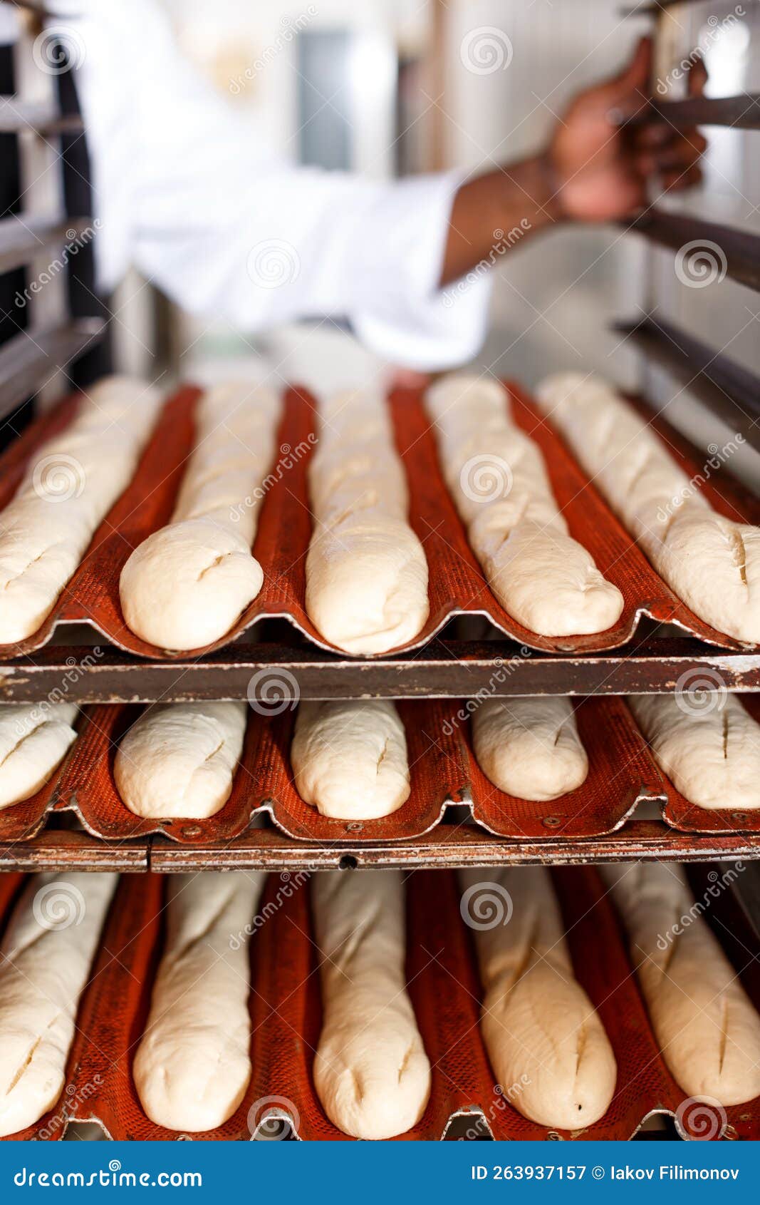 Baguette Raw Dough on Baking Sheets Stock Image - Image of baking ...