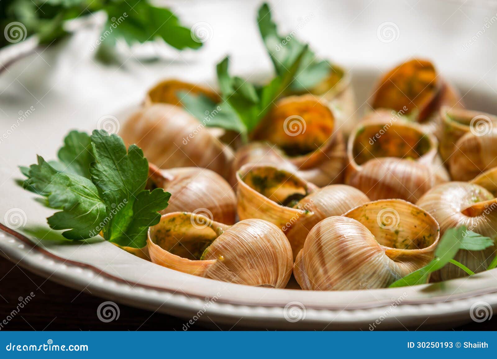 Baked Snails with Garlic Butter Stock Image - Image of ingredient ...