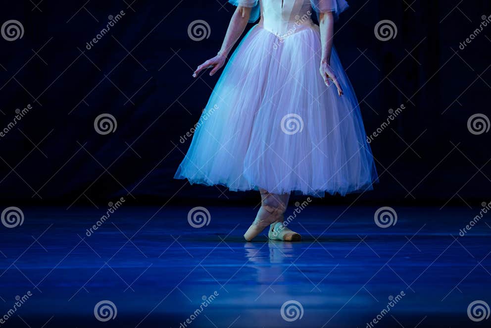 Ballerina Legs Closeup Stock Image Image Of Female 212735035