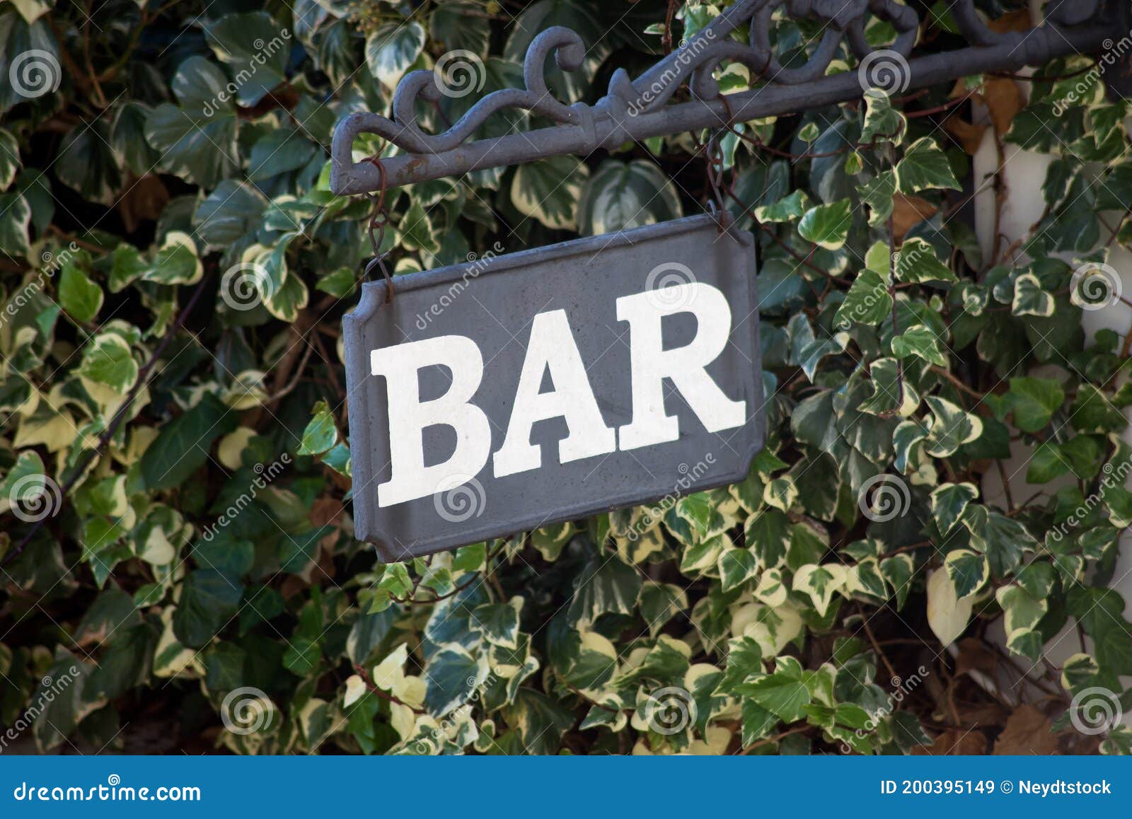 BAR Signage on Green Leaves Background Stock Image - Image of tourism ...