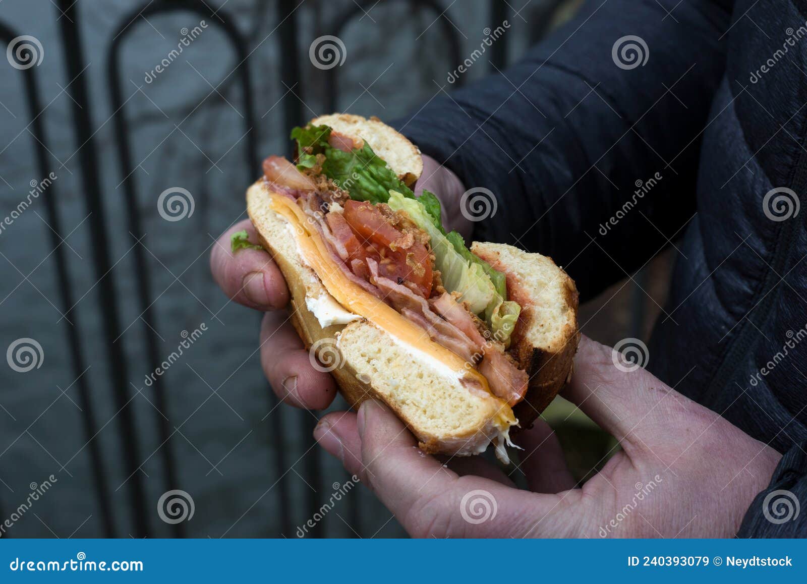 Beagle Sandwich in Hands of Man Stock Image - Image of hands, fast ...