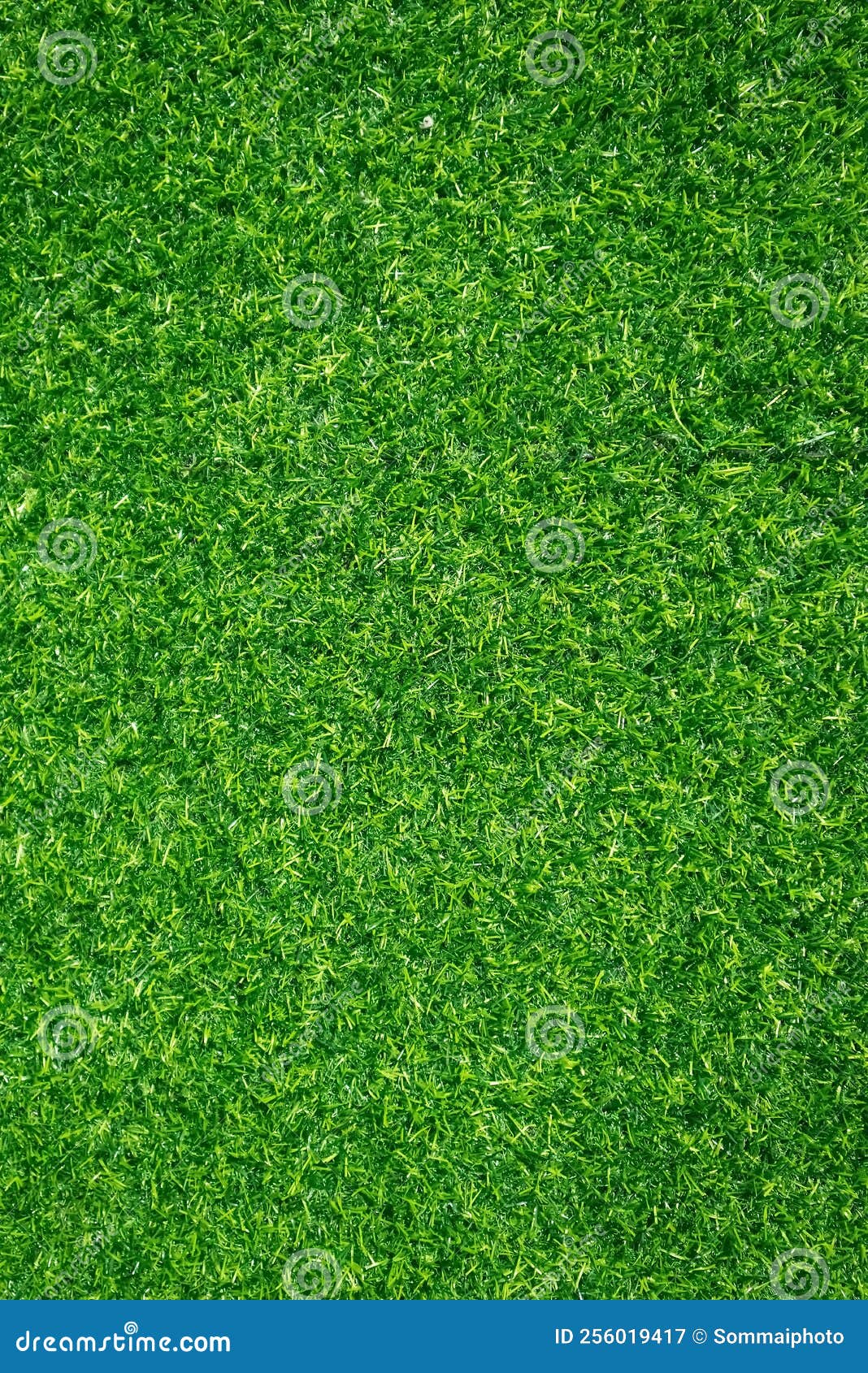 Closeup Beautiful Artificial Grass Texture Stock Image - Image of ...