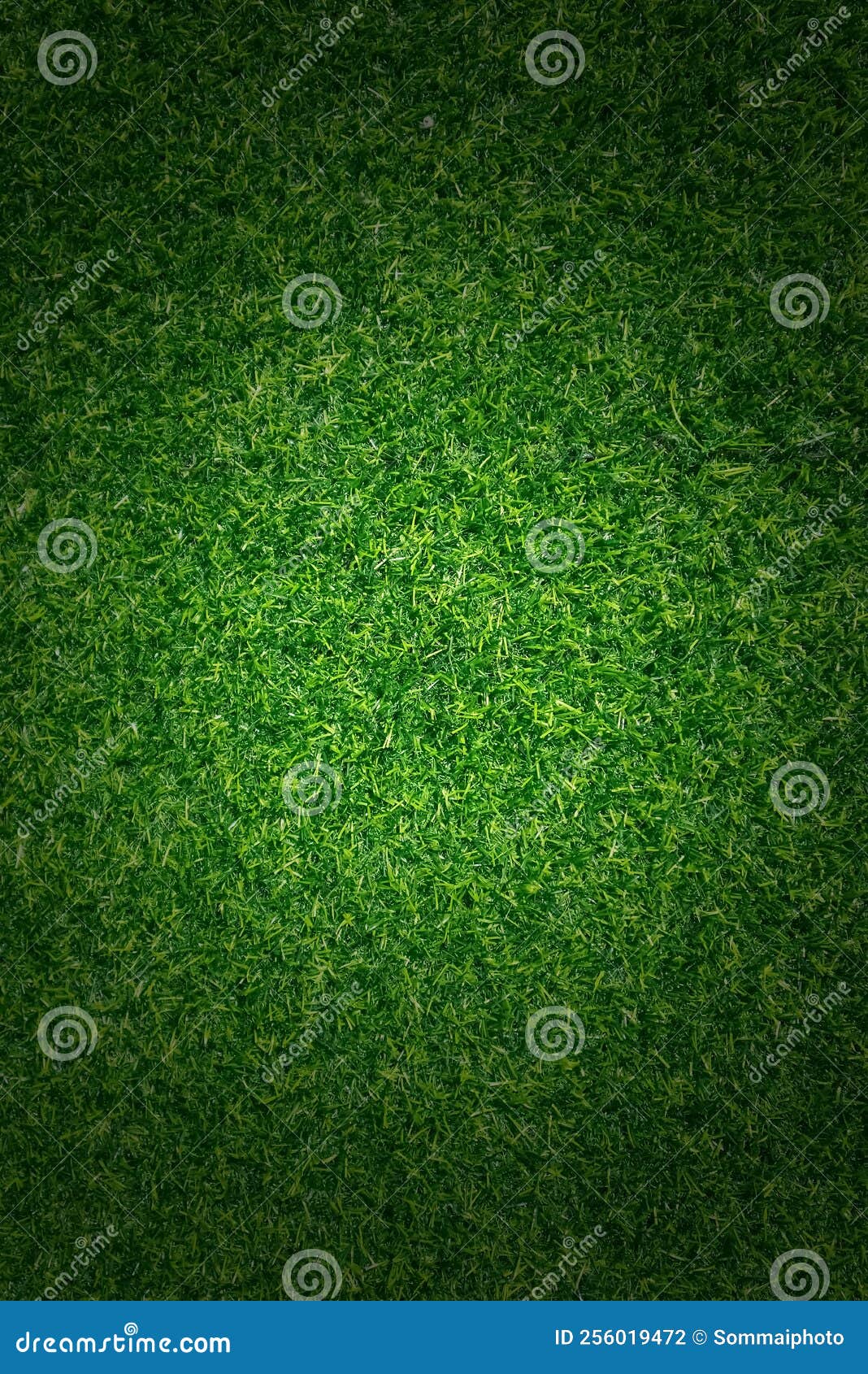 Closeup Beautiful Artificial Grass Texture Stock Photo - Image of clean ...