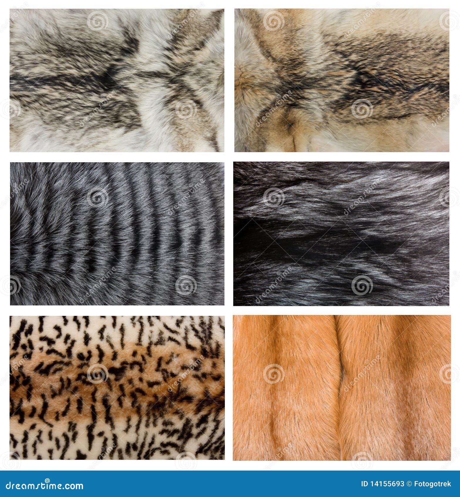 Closeup of Beautiful Fox Wolf Mink Fur. Stock Image - Image of exotic ...