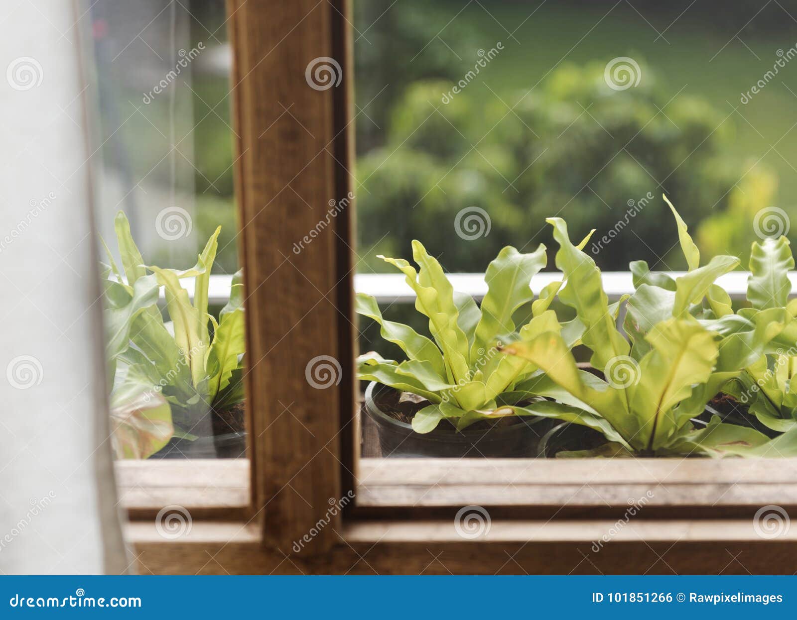 Beautiful Greenery Landscape By Mountain And Sunset Sky With Grassland ...