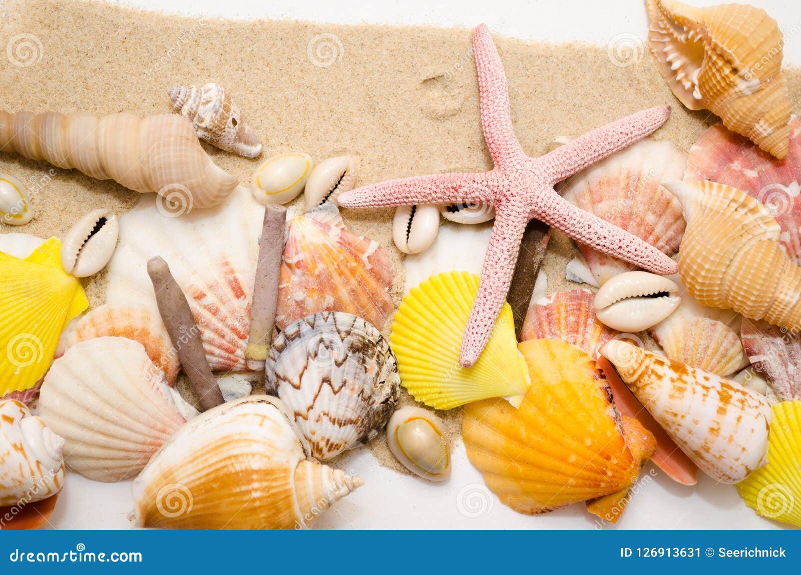 Closeup Beautiful Starfish and Seashells Lying on the Sand Stock Image ...