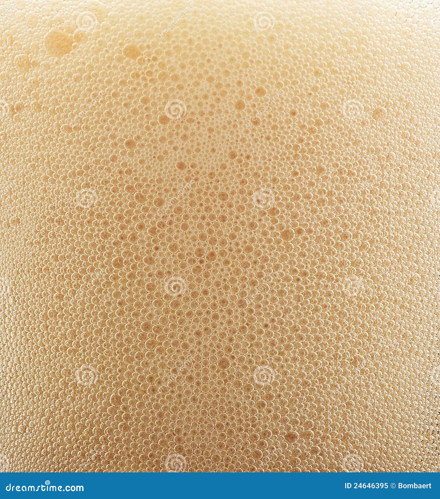 Closeup beer foam stock image. Image of golden, condensed - 24646395