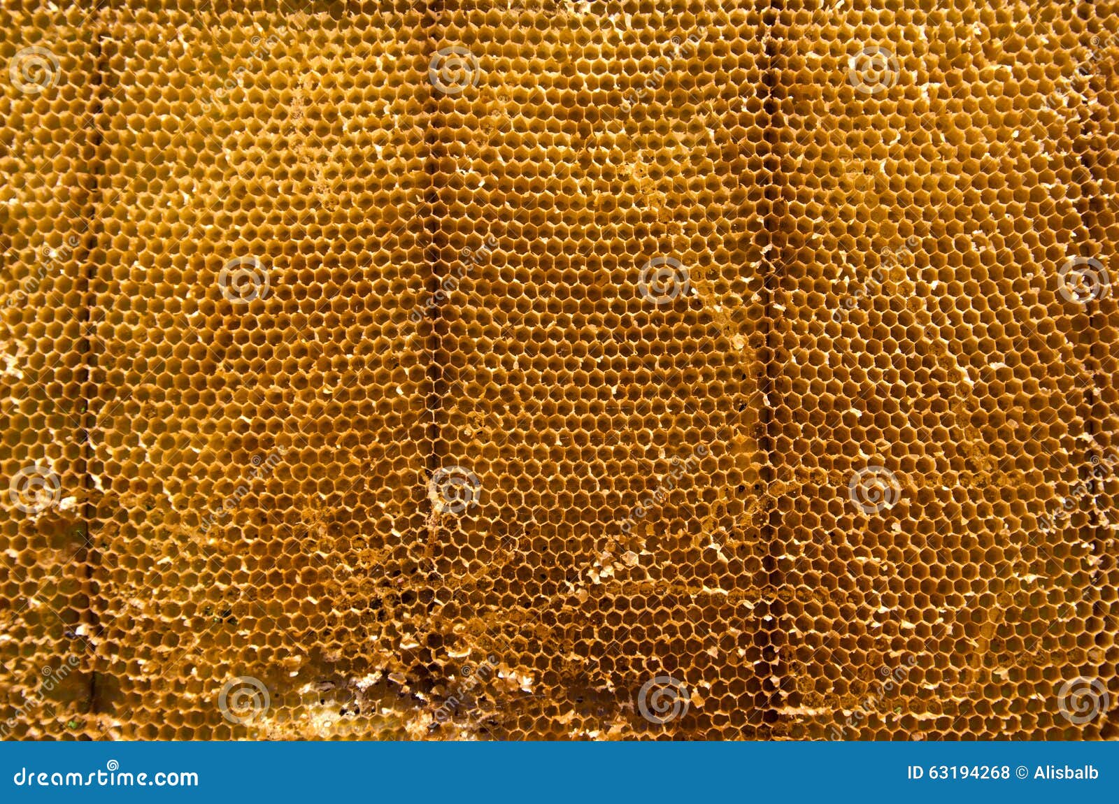 Closeup of Beeswax Background Stock Photo - Image of honey, honeycomb ...