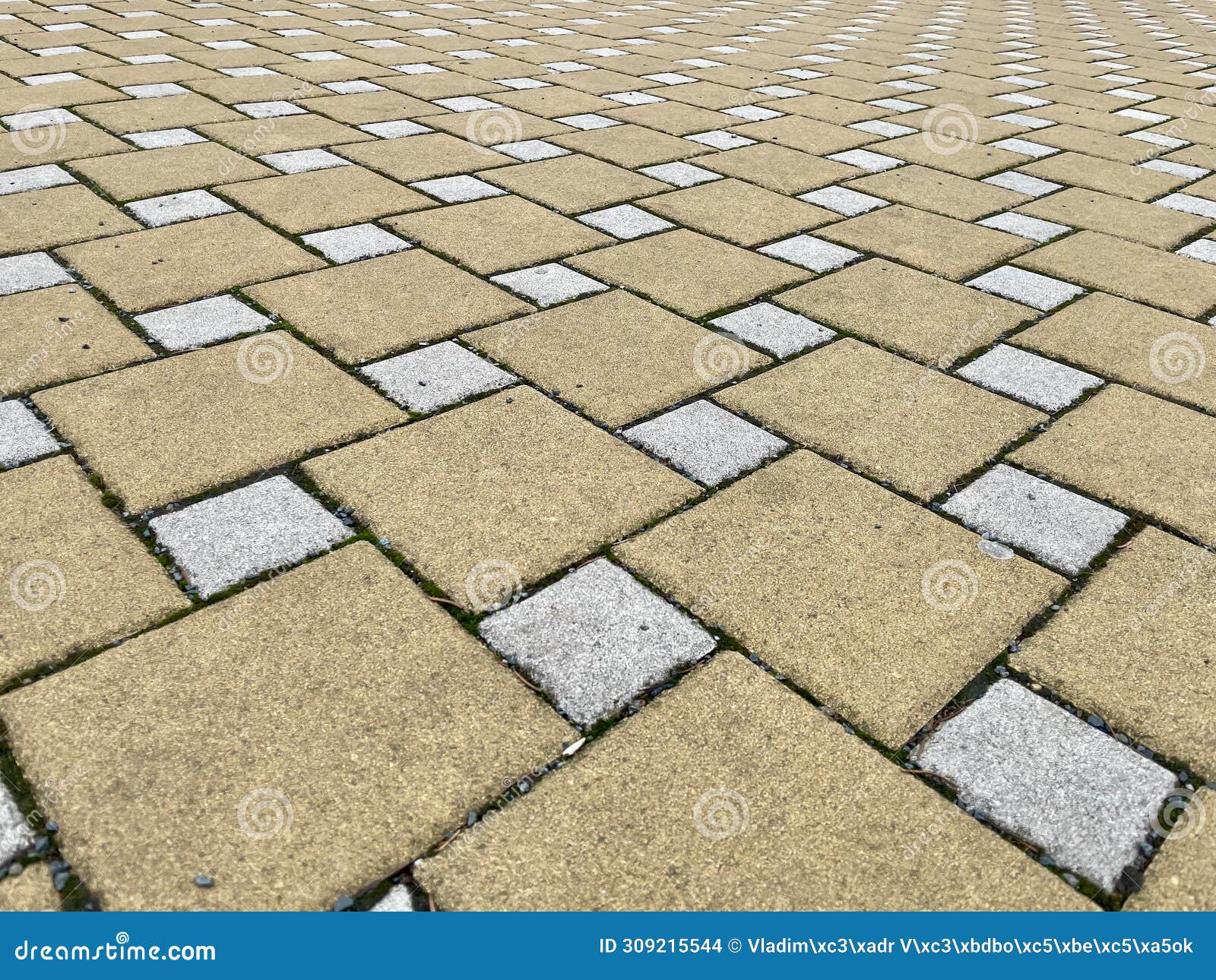 Closeup of a Beige Brick Pavement with a Diagonal Pattern Stock Photo ...