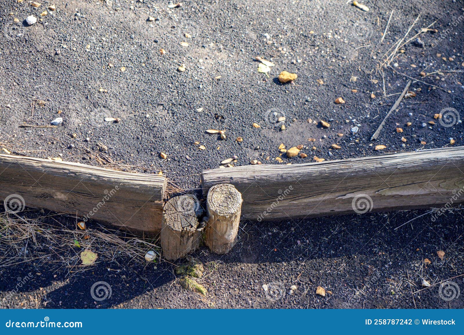 Closeup of Big Logs on the Ground Stock Photo - Image of lumber ...
