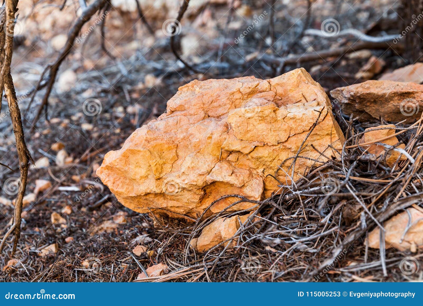 Closeup of a Big Rock on the Ground Stock Image - Image of natural ...