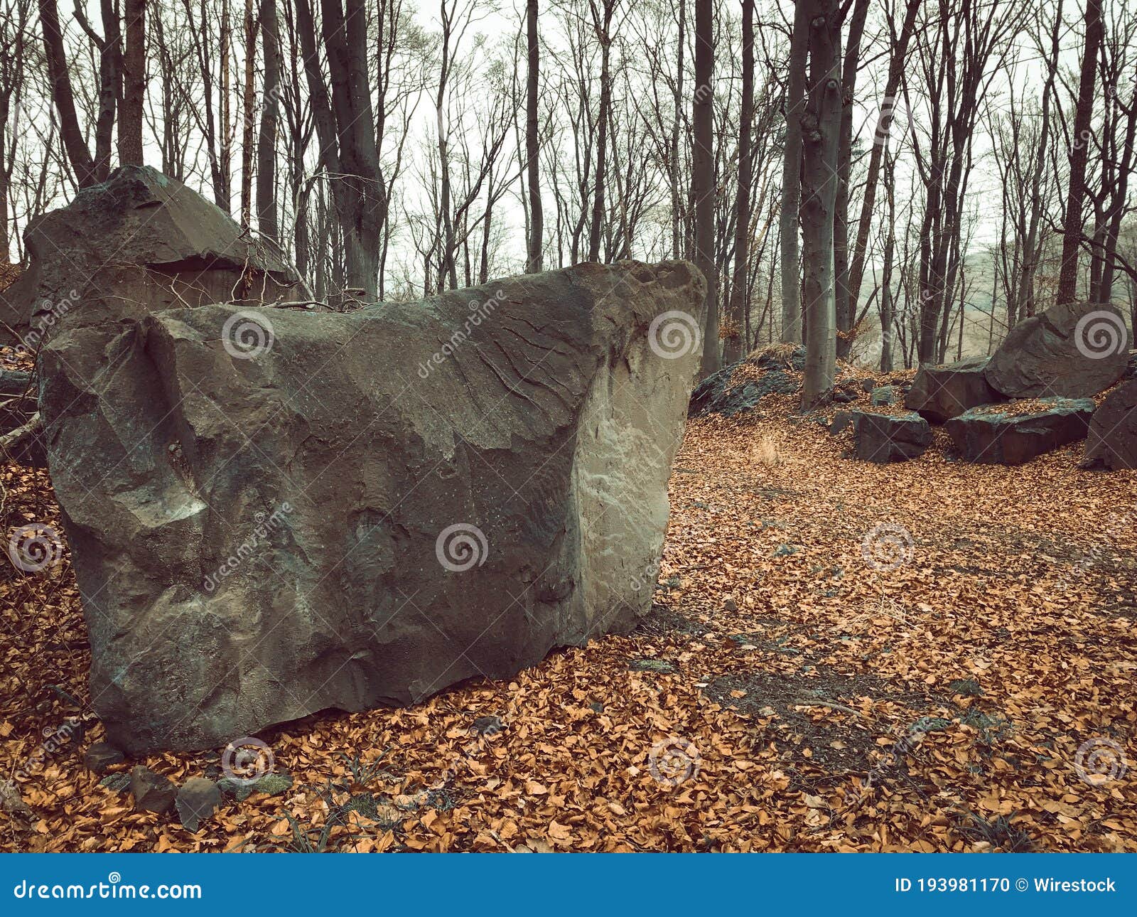 Closeup of Big Rocks and Brown Fallen Leaves on the Ground with Bare ...
