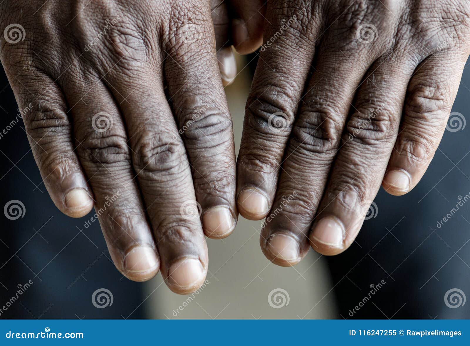 Closeup of black man hands stock image. Image of fingers - 116247255