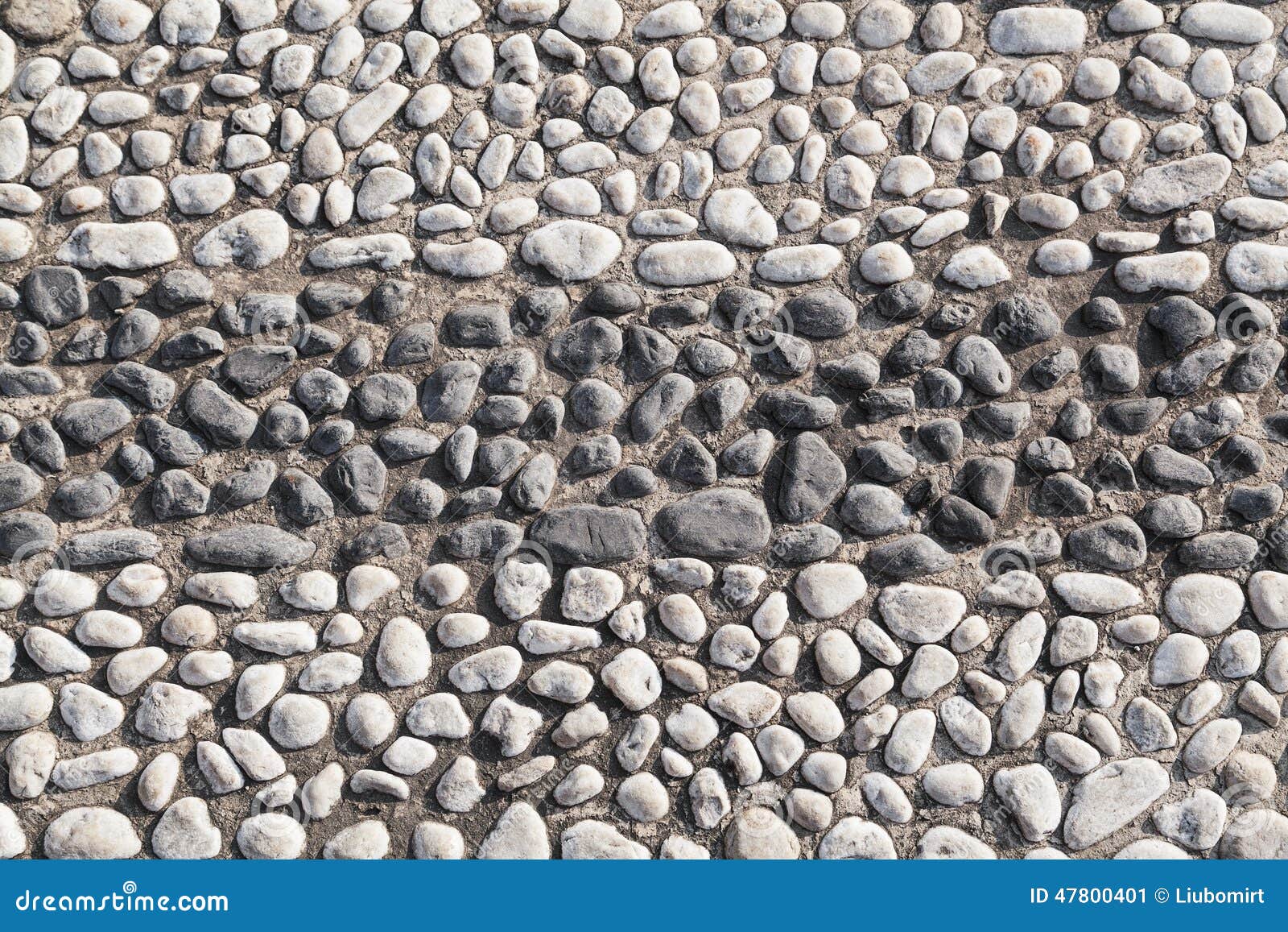 Closeup of Black and White Big Pebble Rocks Stock Image - Image of ...