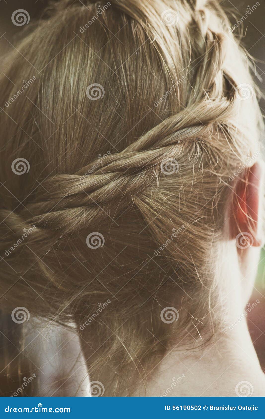 Closeup of Blonde Woman Hair with Braid Stock Photo - Image of ...