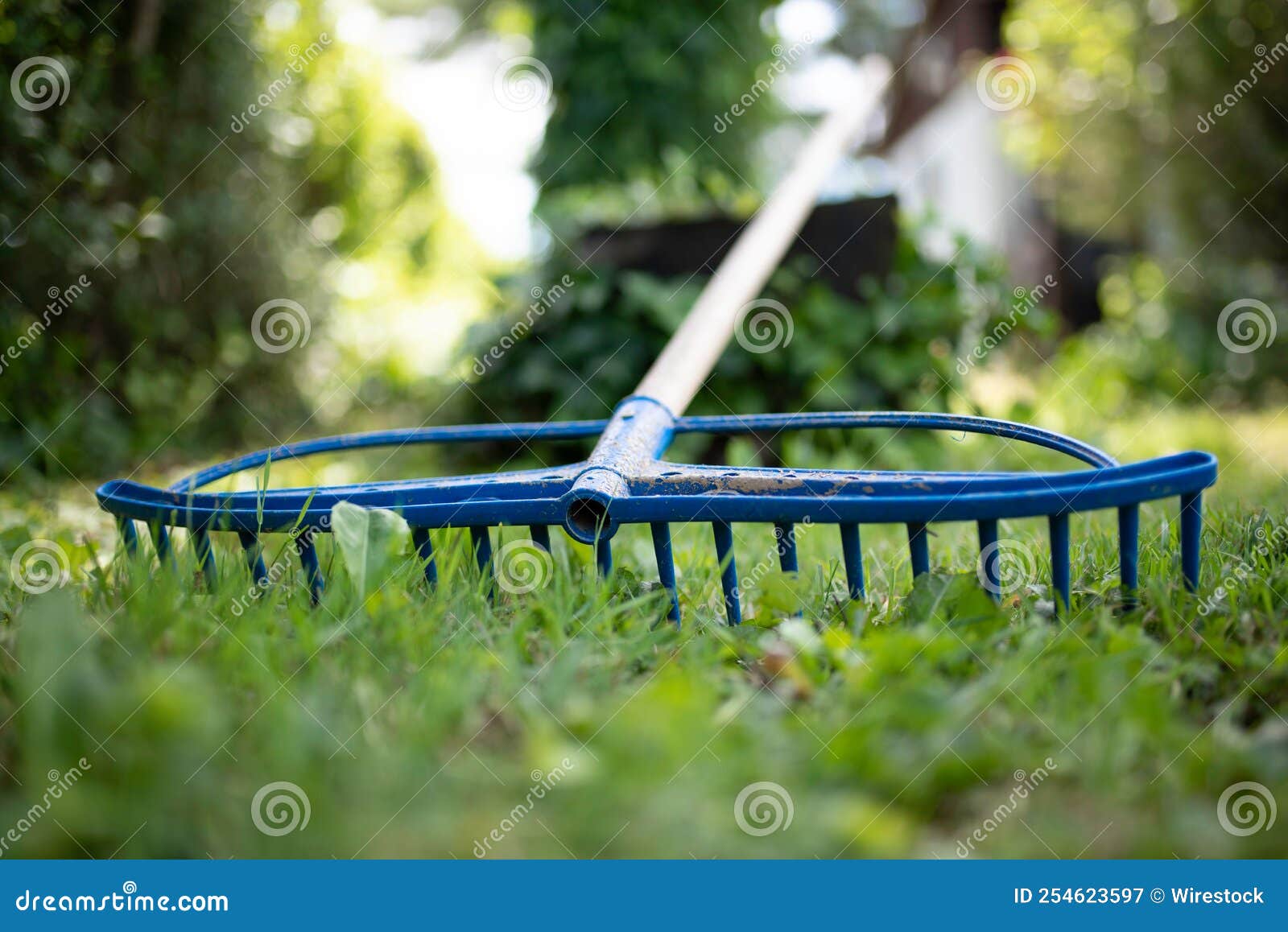 Blue Rake Plastic Products, Plant Care Products In A Supermarket ...