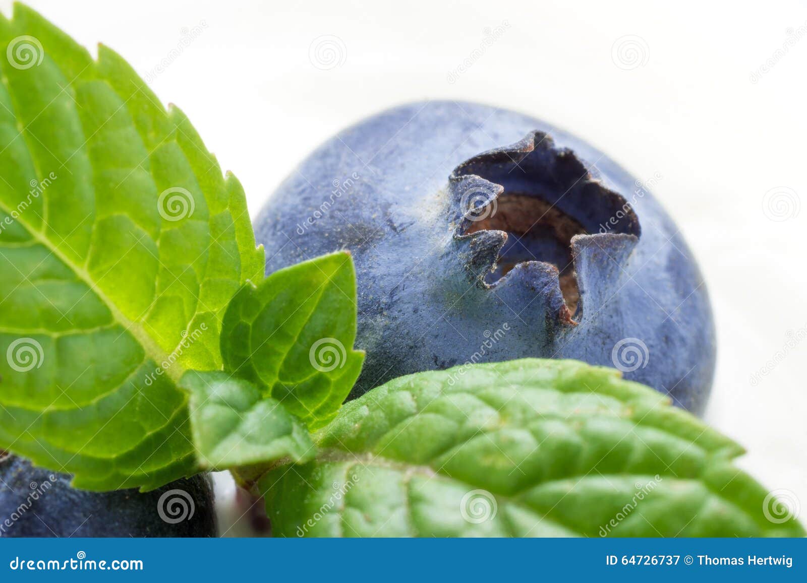 Closeup of Blueberry and Mint Stock Image - Image of glass, juicy: 64726737