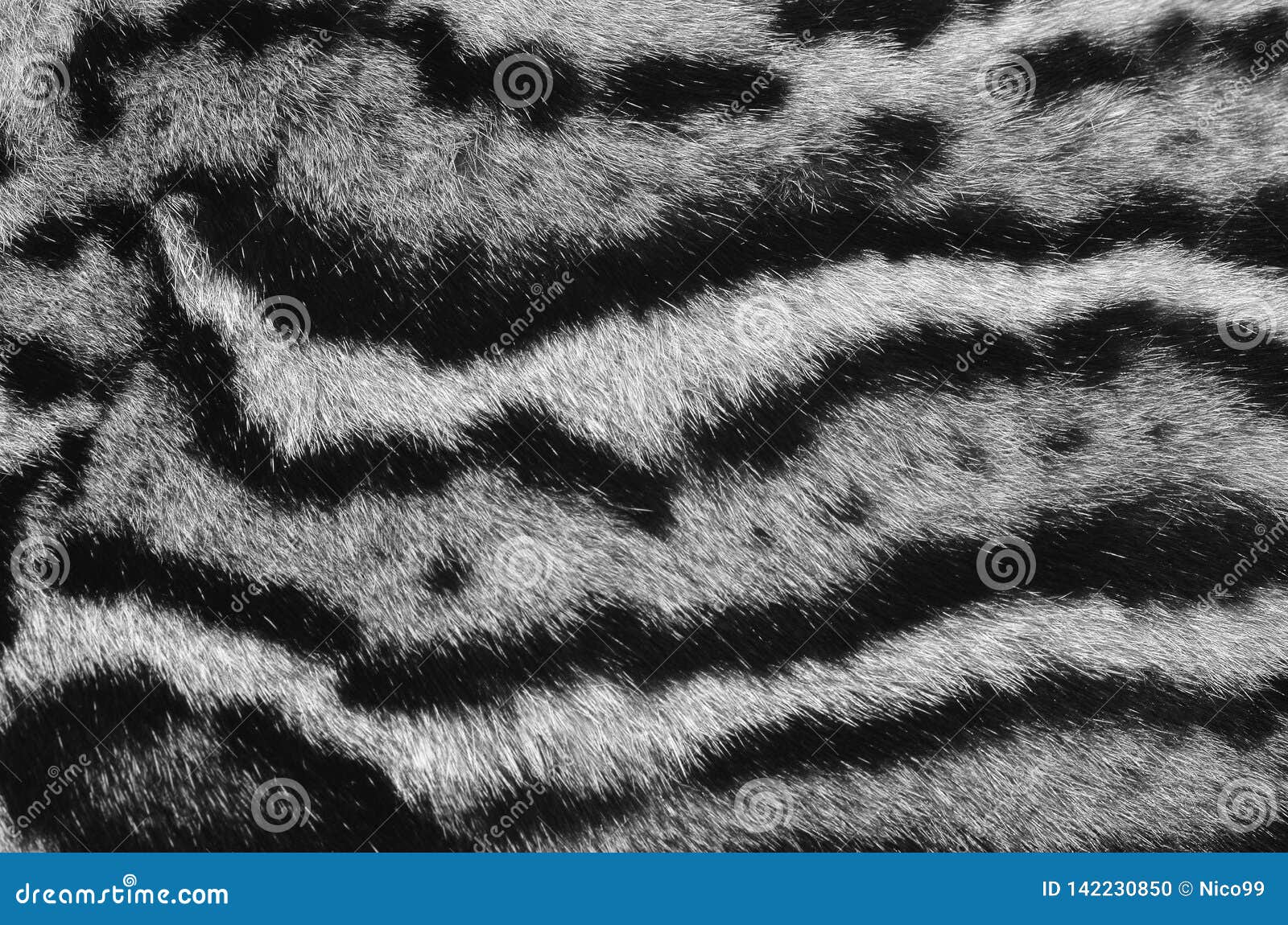 Bobcat Fur Background Texture Pattern Stock Photo - Image of mammals ...