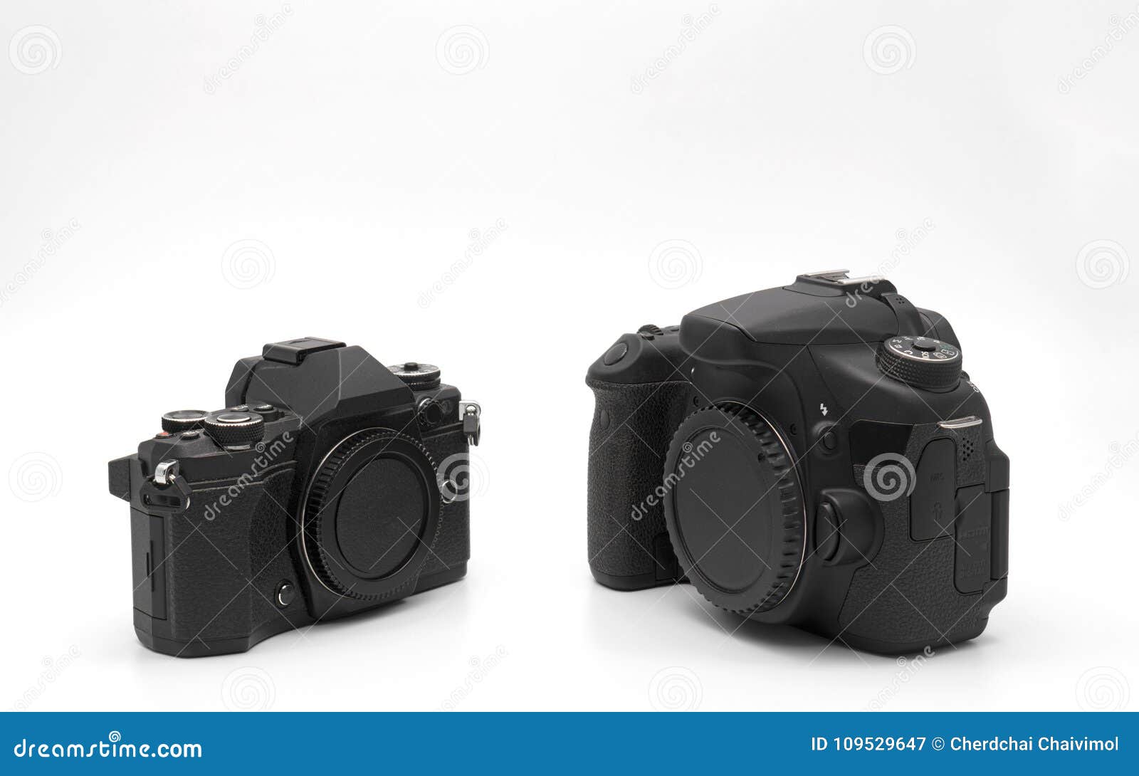 Body of Mirrorless Camera and DSLR Camera Isolated on White Back Stock ...