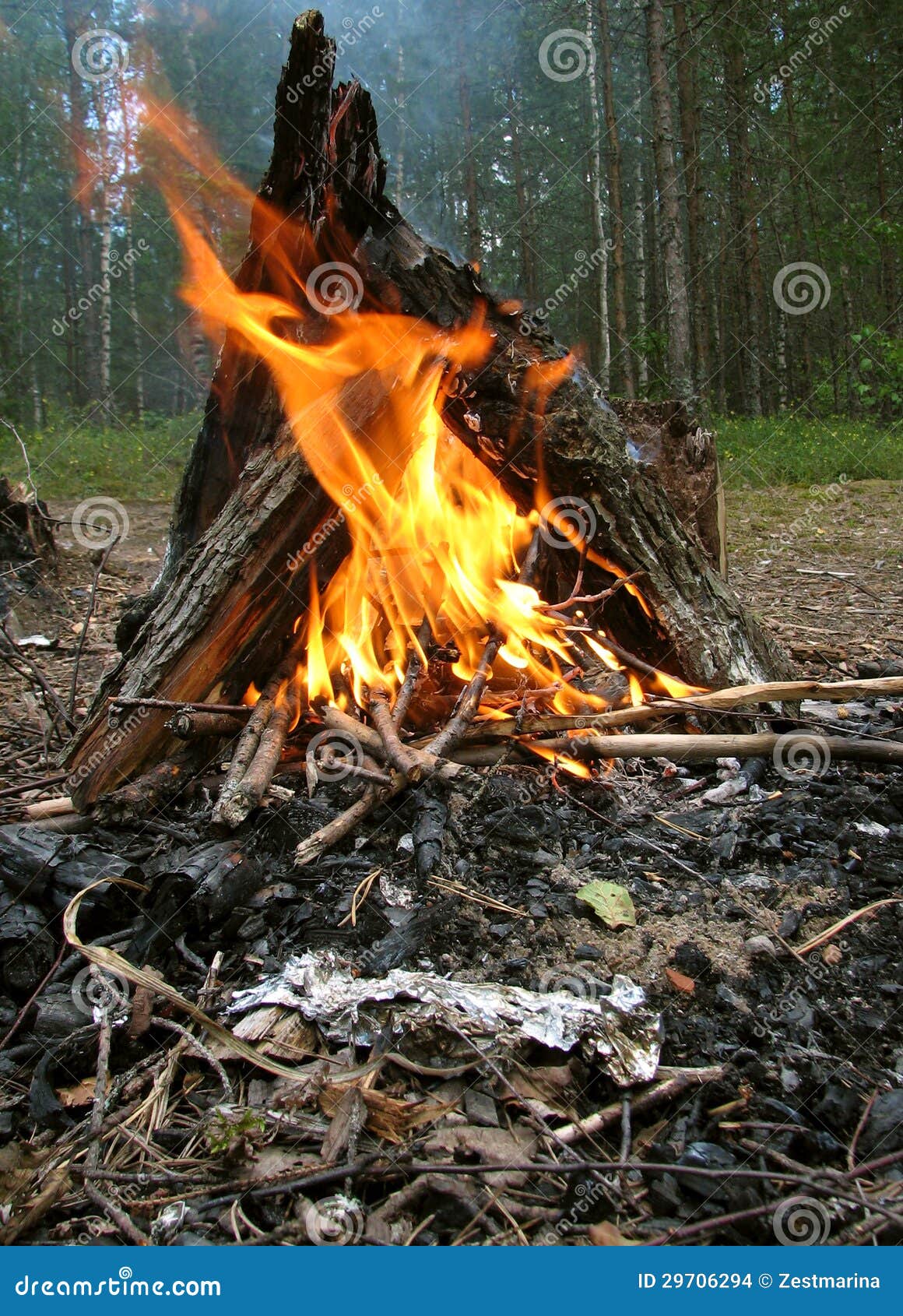 Bonfire stock photo. Image of nature, outdoor, summer - 29706294