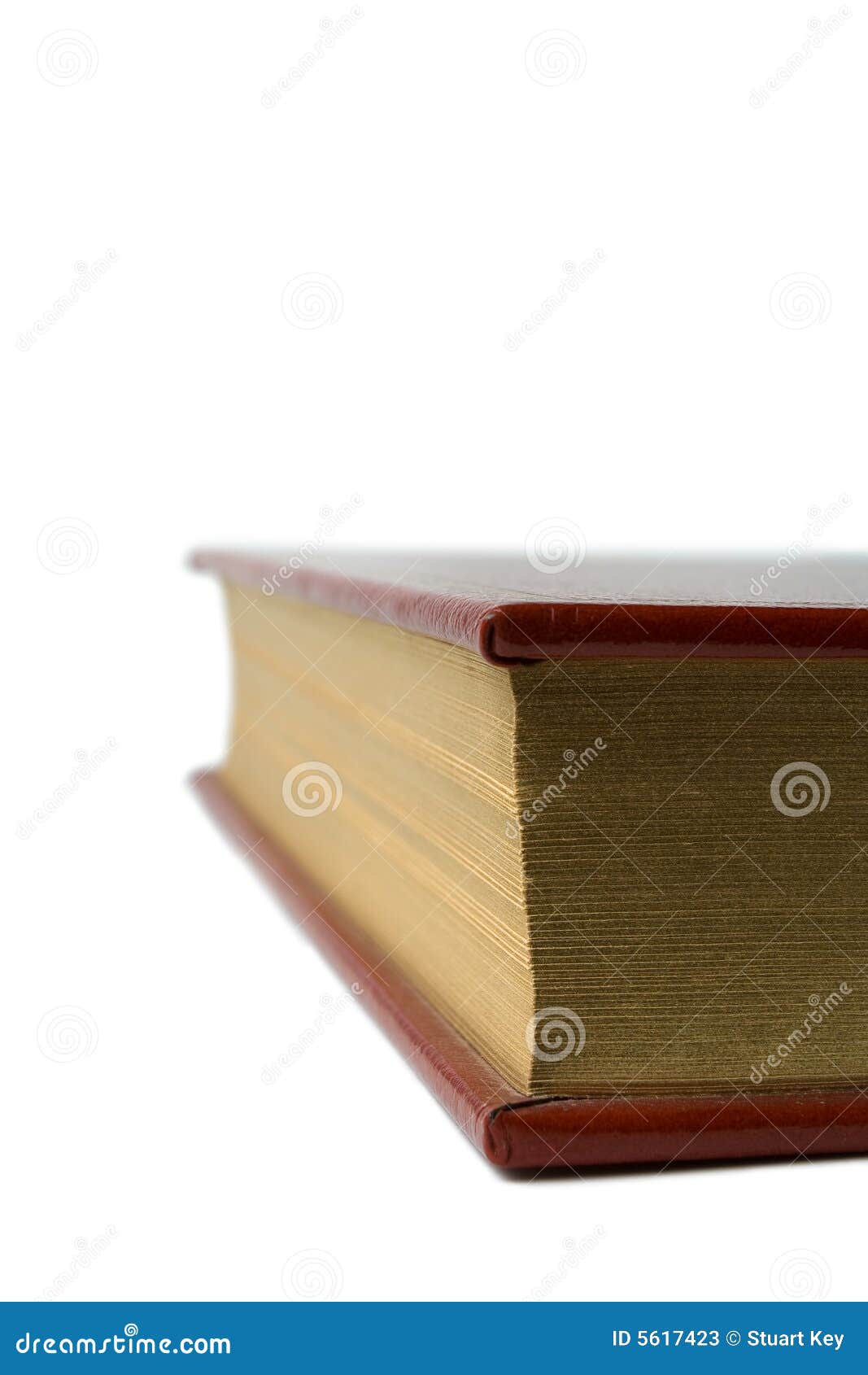 Closeup of book pages stock image. Image of covered, edged - 5617423