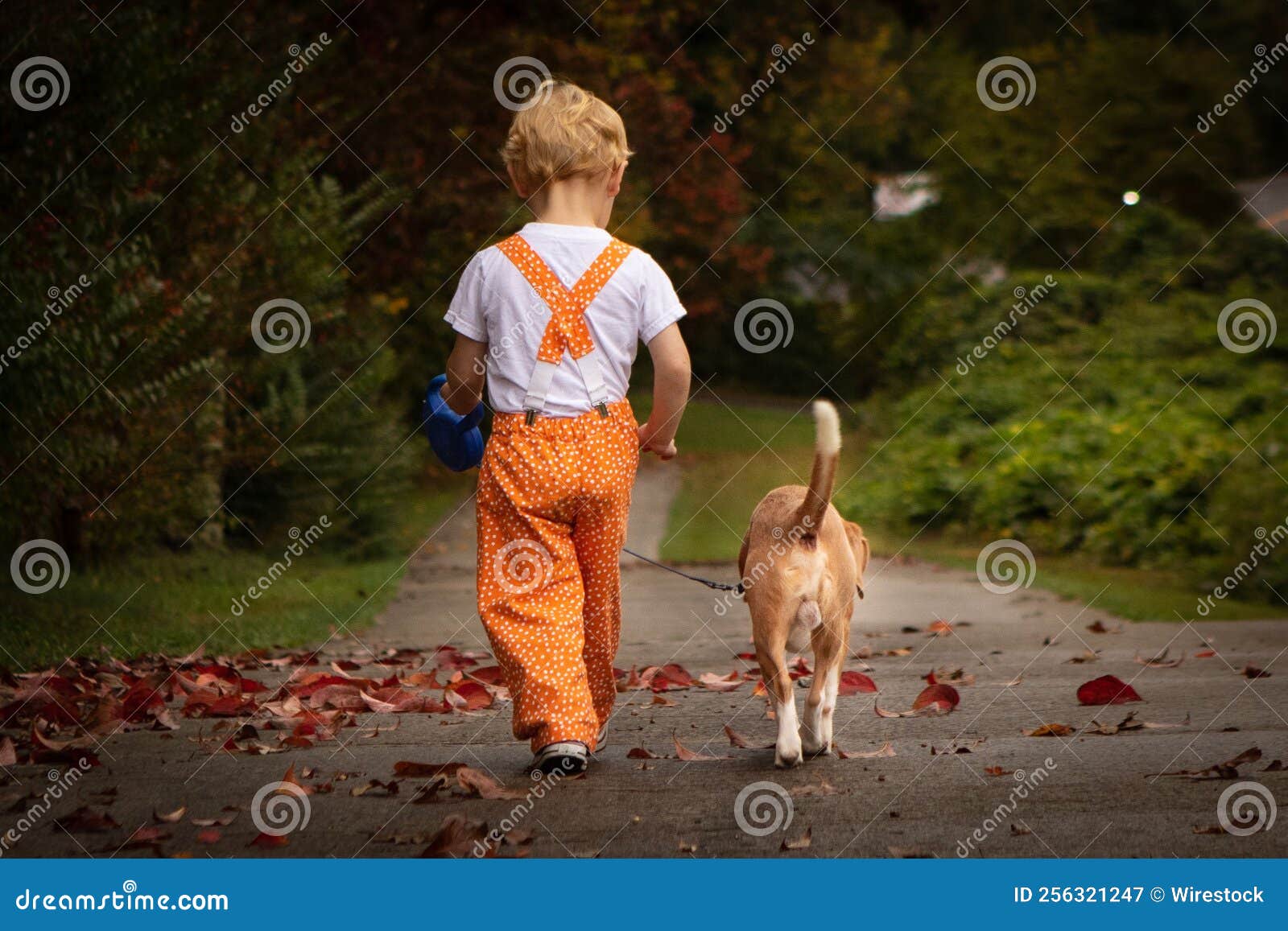 Closeup of a Boy Walking with His Dog Stock Image - Image of canine ...