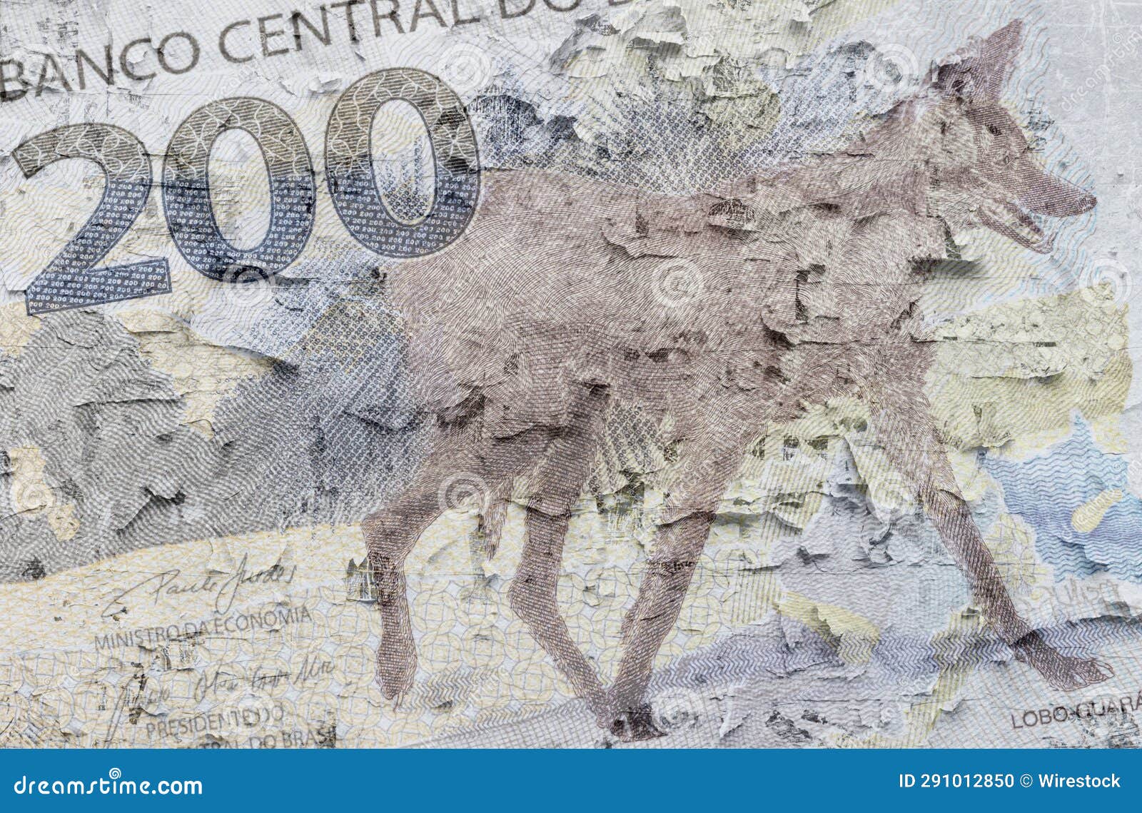 Closeup of 200 Brazilian Real Banknote Stock Photo - Image of ...