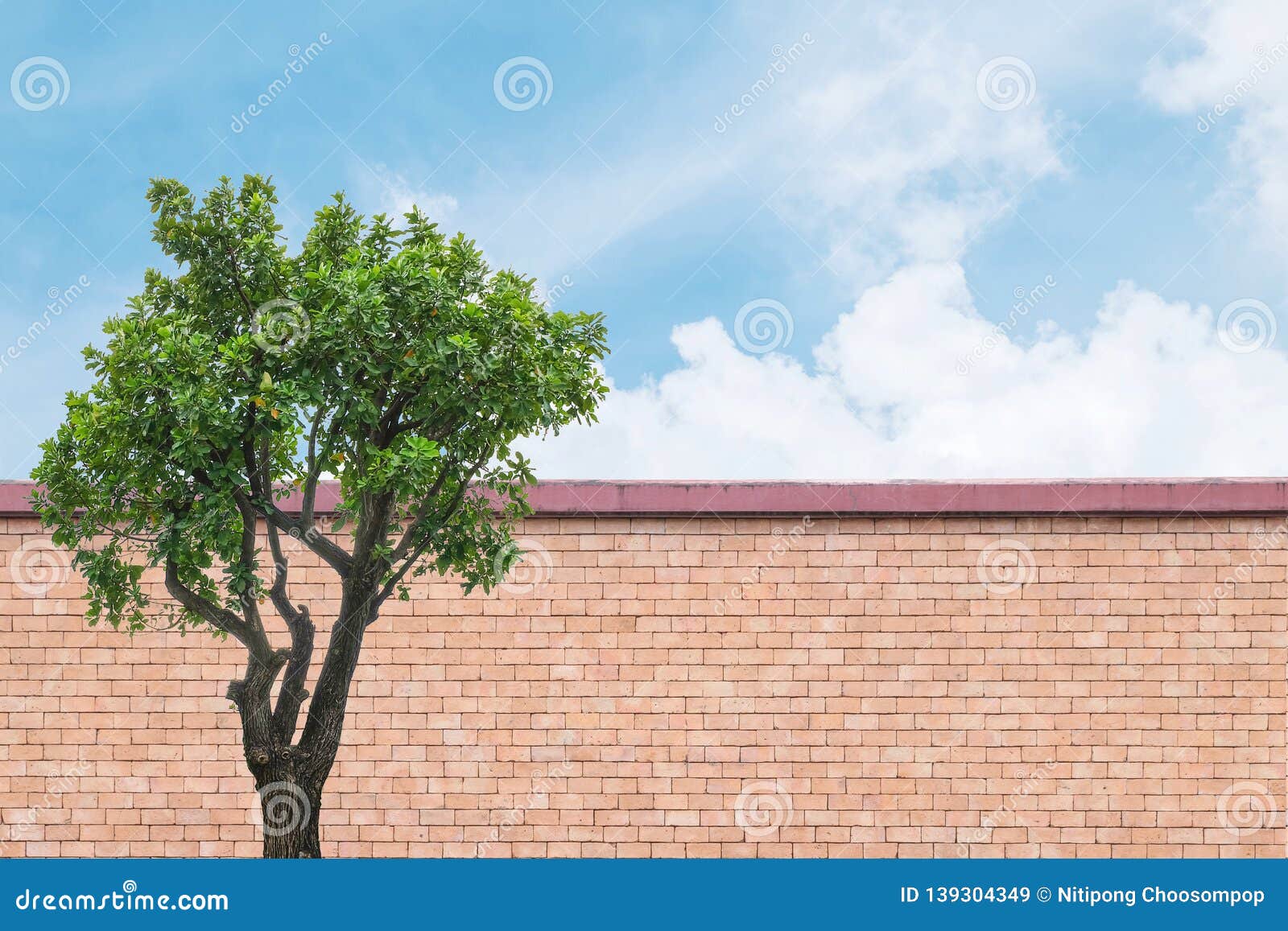 Closeup Brick Pattern at the Brown Brick Wall of Fence with Green Tree ...