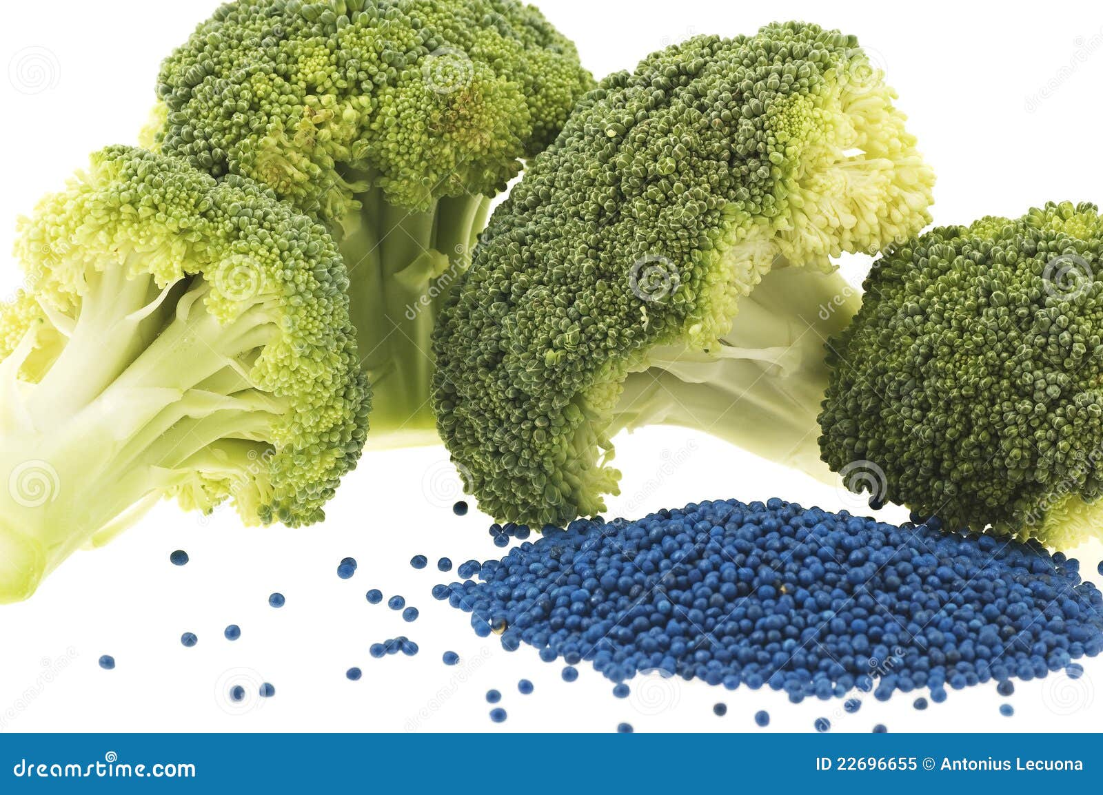 Closeup of Broccoli Florets and Seed Stock Image - Image of isolated ...