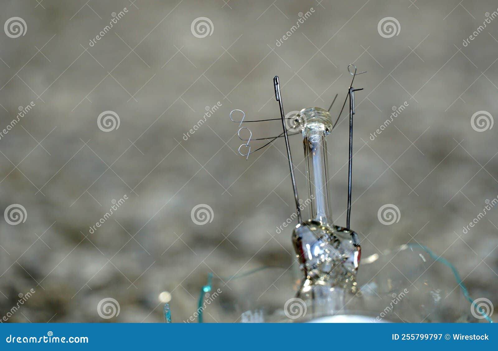 Closeup of a Broken Light Bulb on the Background of Asphalt Stock Image ...