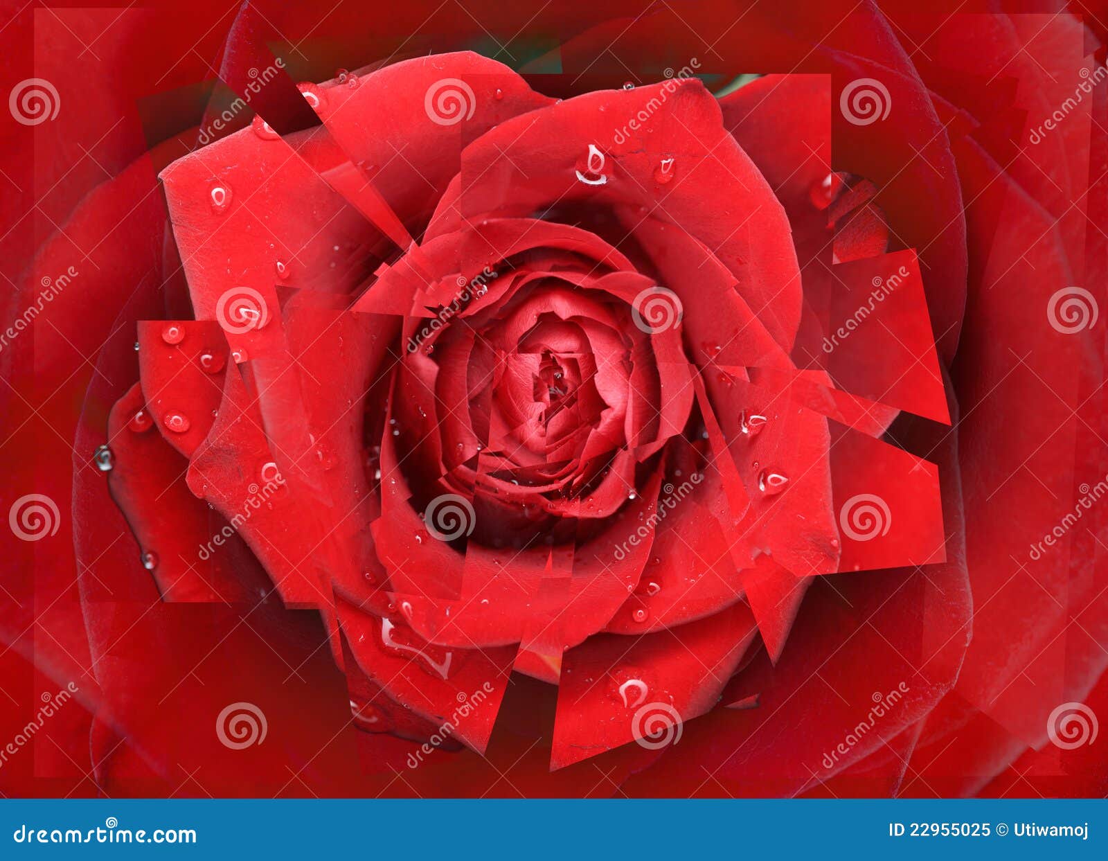 Broken Rose-colored Glasses On The Sand, By The Sea Stock Image ...