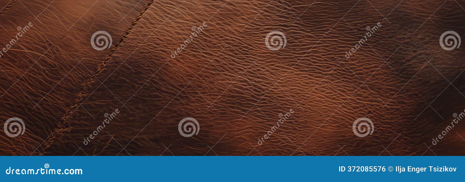 Closeup Of Brown Bedded Sandstone A Detailed Look At Clastic ...