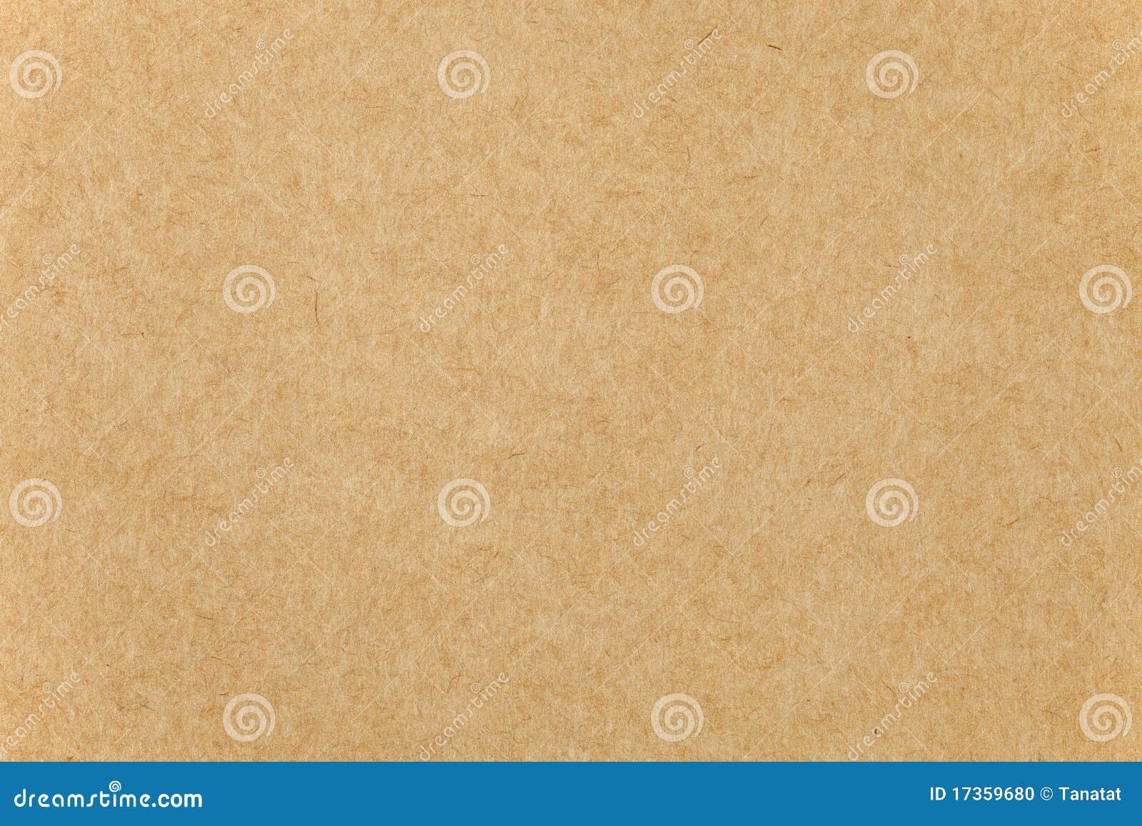 Cardboard Texture. Stock Photography | CartoonDealer.com #4504688