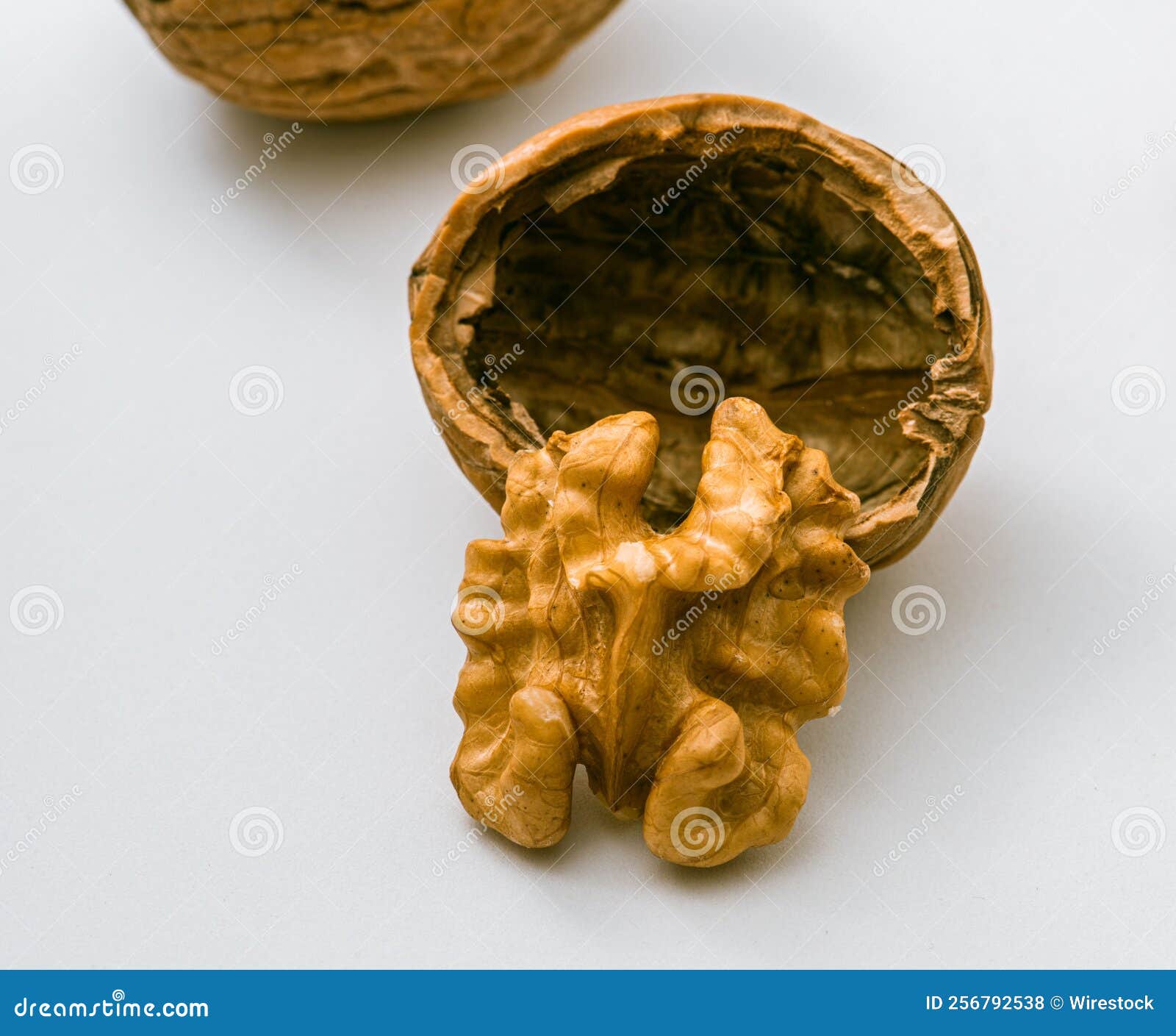 Closeup of a Brown Walnut and Shell Isolated on a White Background ...