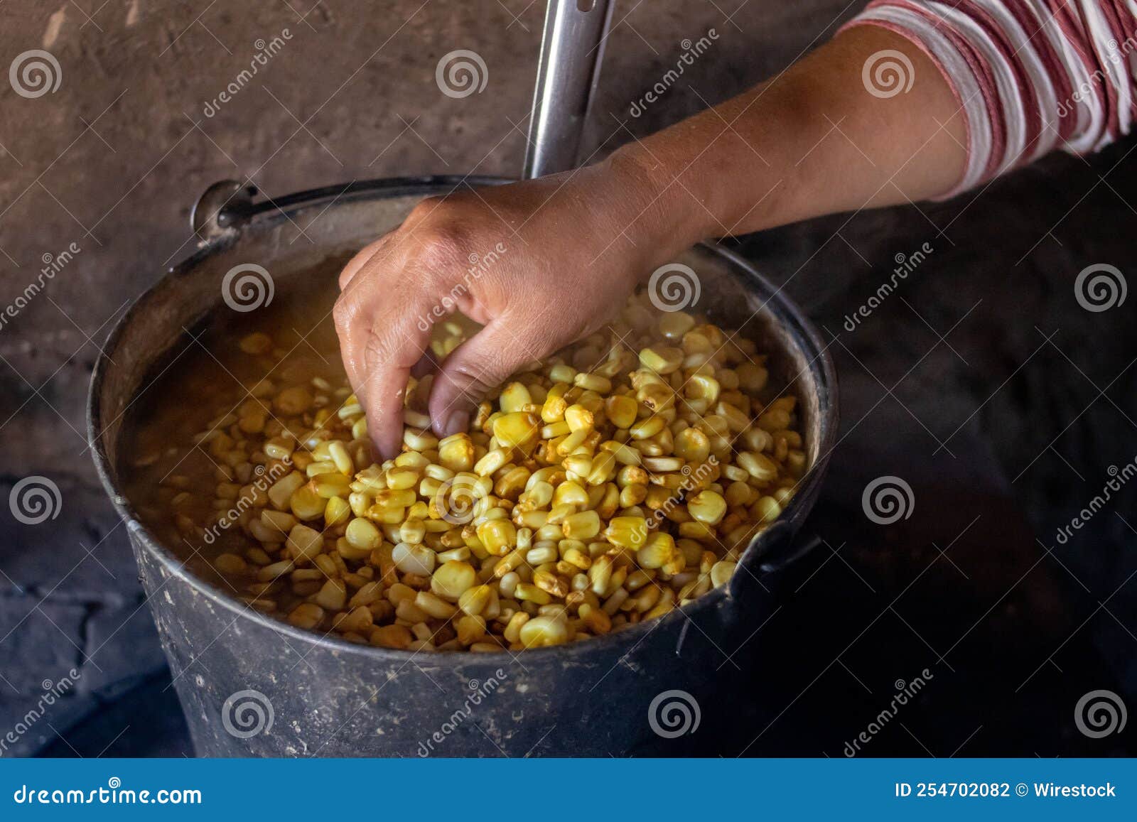 Closeup of a Bucket of Corn for Making Corn Tortillas. Stock Photo ...