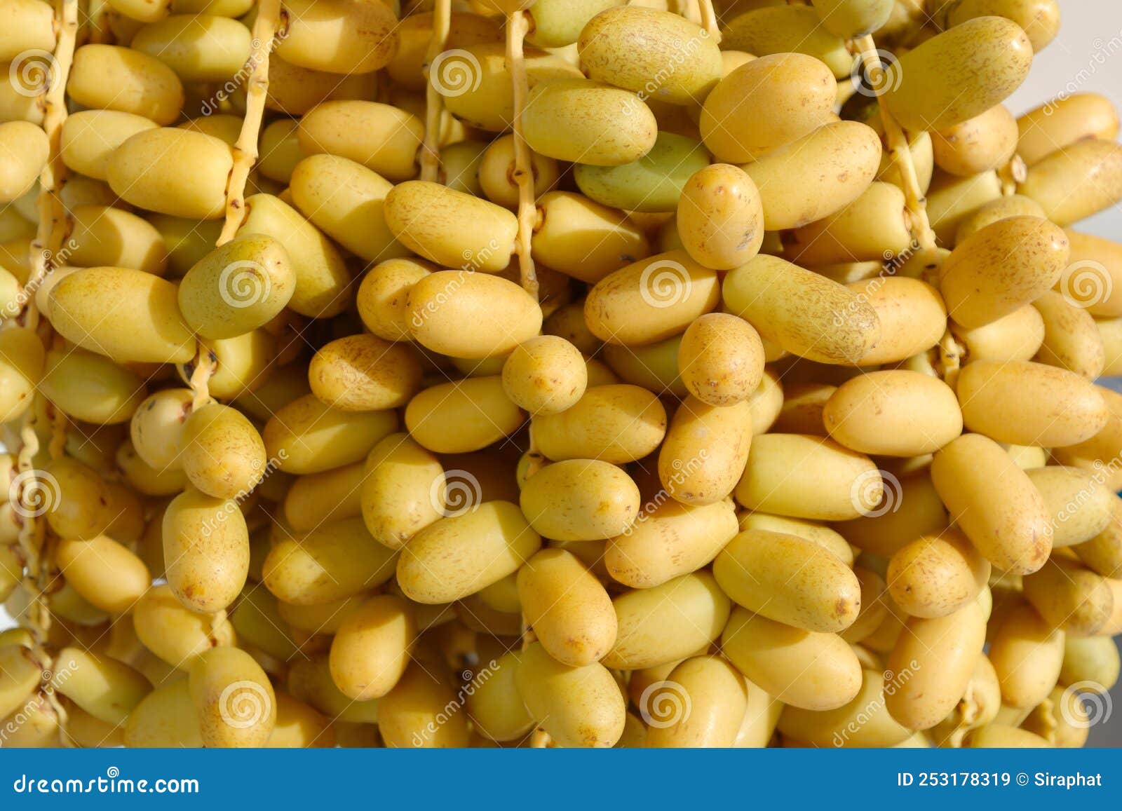 Closeup Bunch of Fresh Date Palm Fruits Stock Image - Image of yellow ...