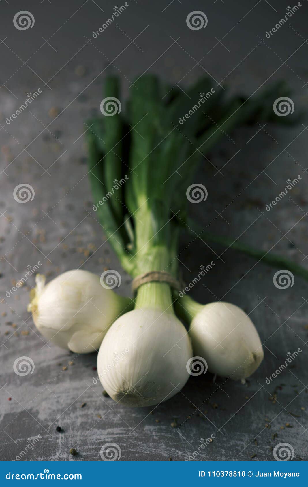 Bunch of spring onions stock photo. Image of farming - 110378810