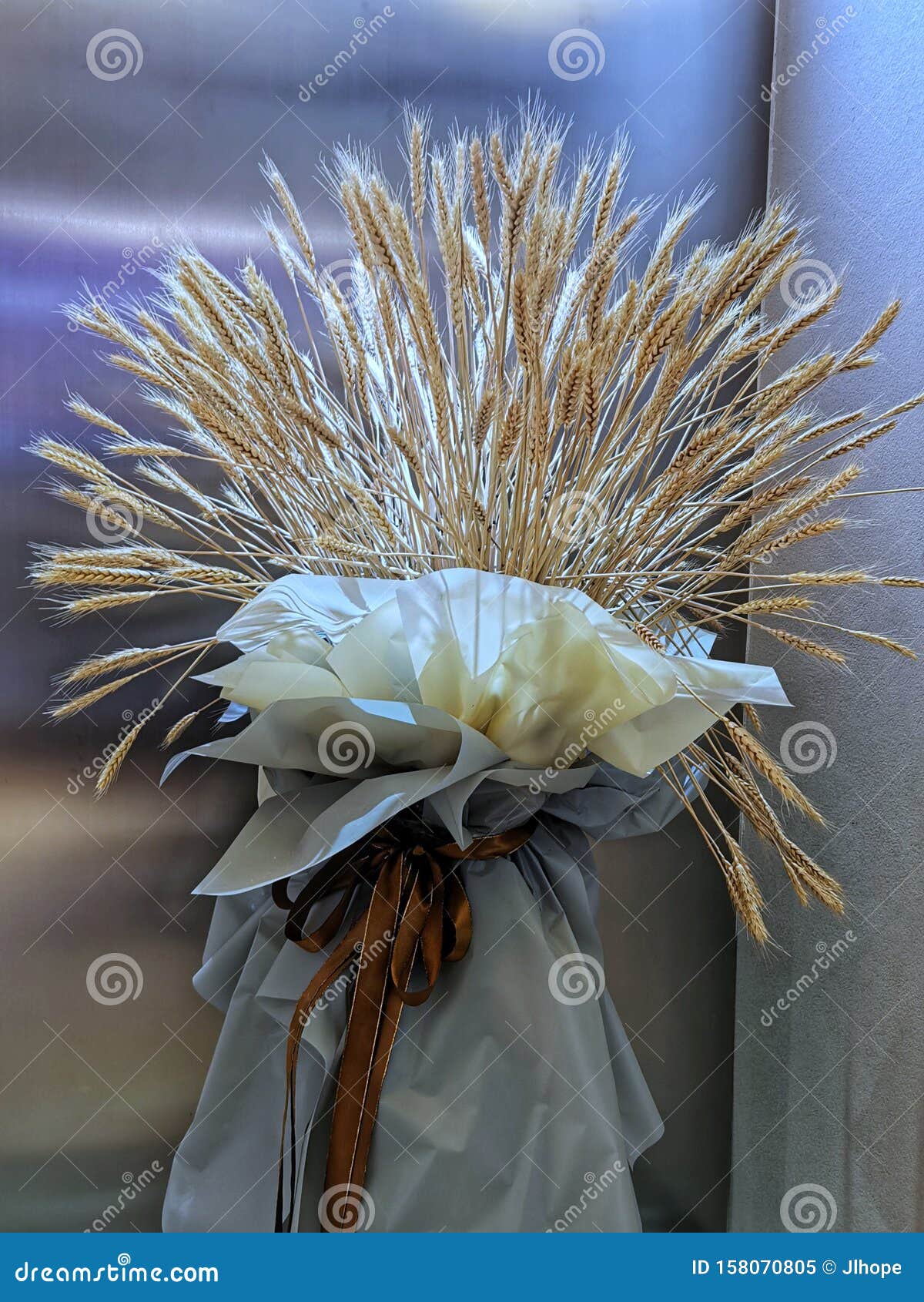 Closeup of a Bunch of Wheat Stalks Decoration Stock Image - Image of ...