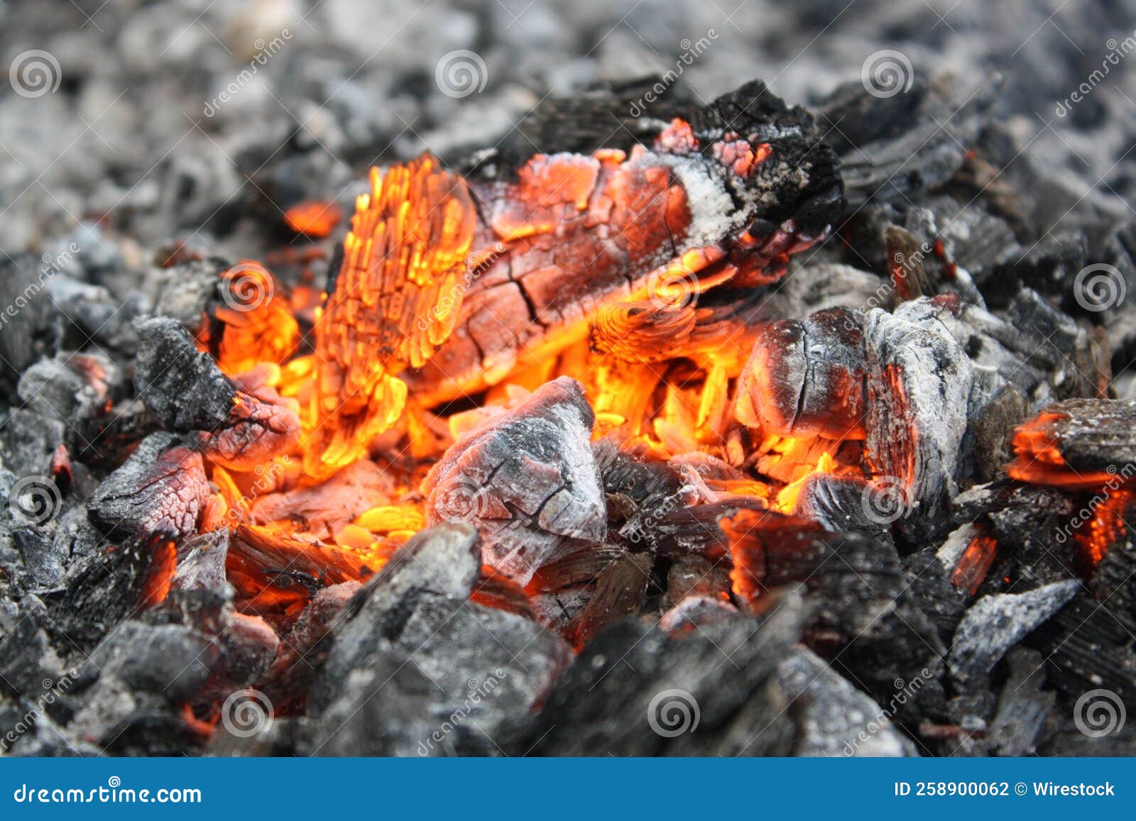 Closeup of Burning Coals on a Ground Stock Photo - Image of danger ...