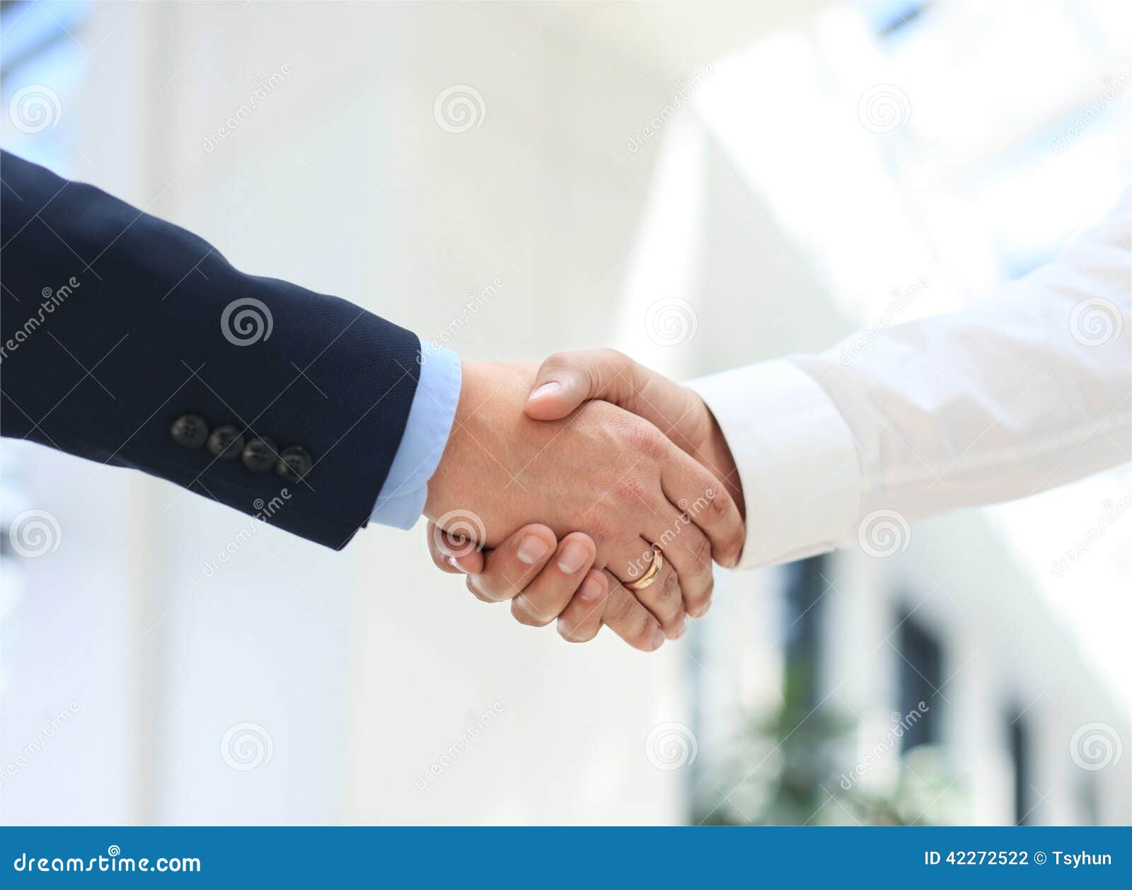 Closeup of a Business Hand Shake Stock Photo - Image of adult, office ...
