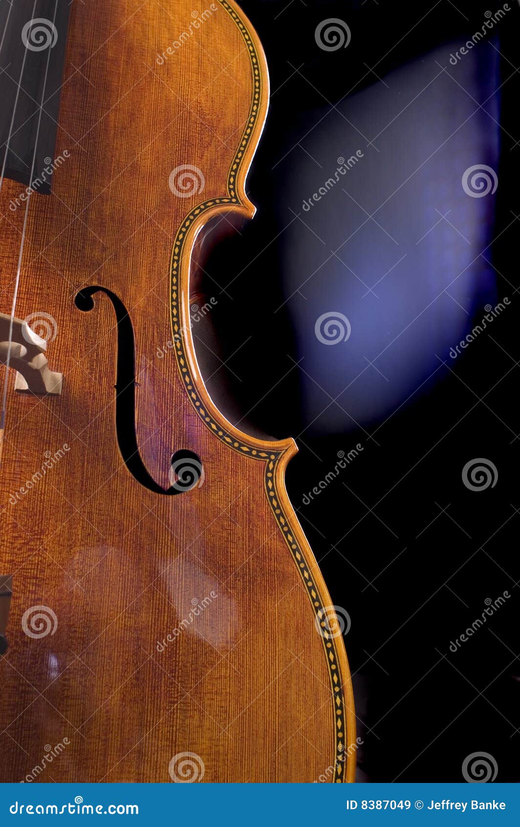 Closeup of a cello stock image. Image of concerto, fret - 8387049