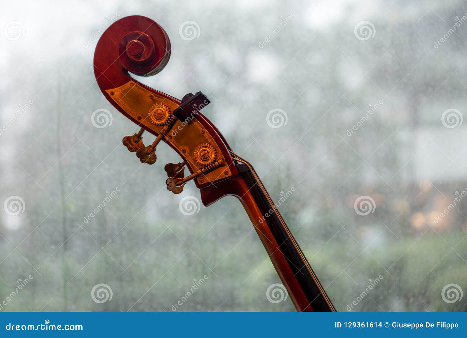 Closeup of a Cello, Focus on the Neck and the Scroll Stock Photo ...